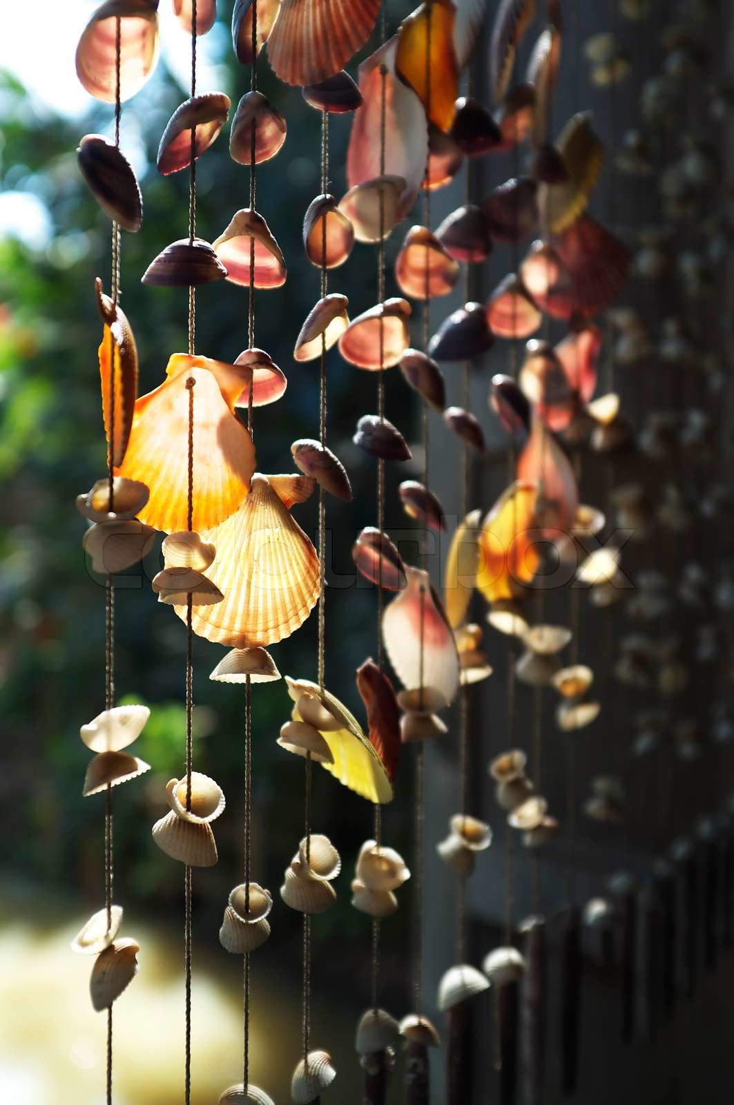Shells hanging windows | Stock image | Colourbox