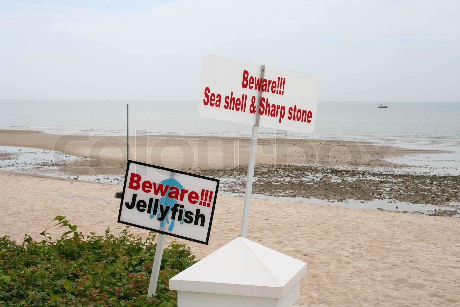 Beware jellyfish sign board | Stock image | Colourbox