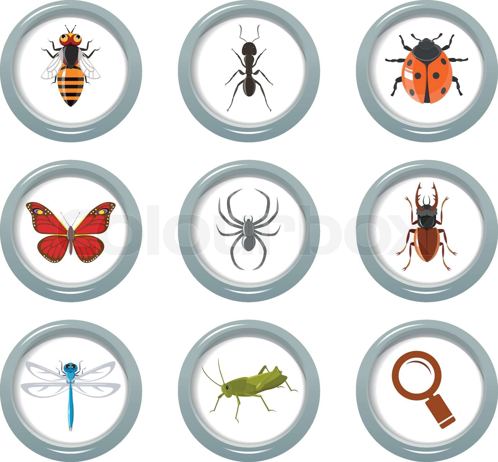 Insect icons | Stock vector | Colourbox