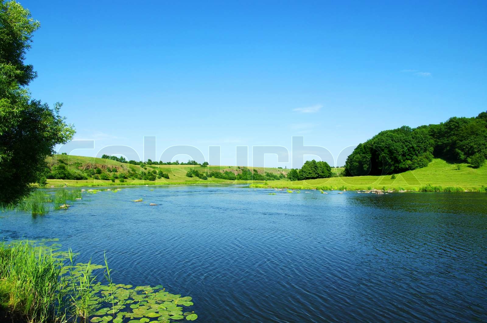 riverin summer | Stock image | Colourbox