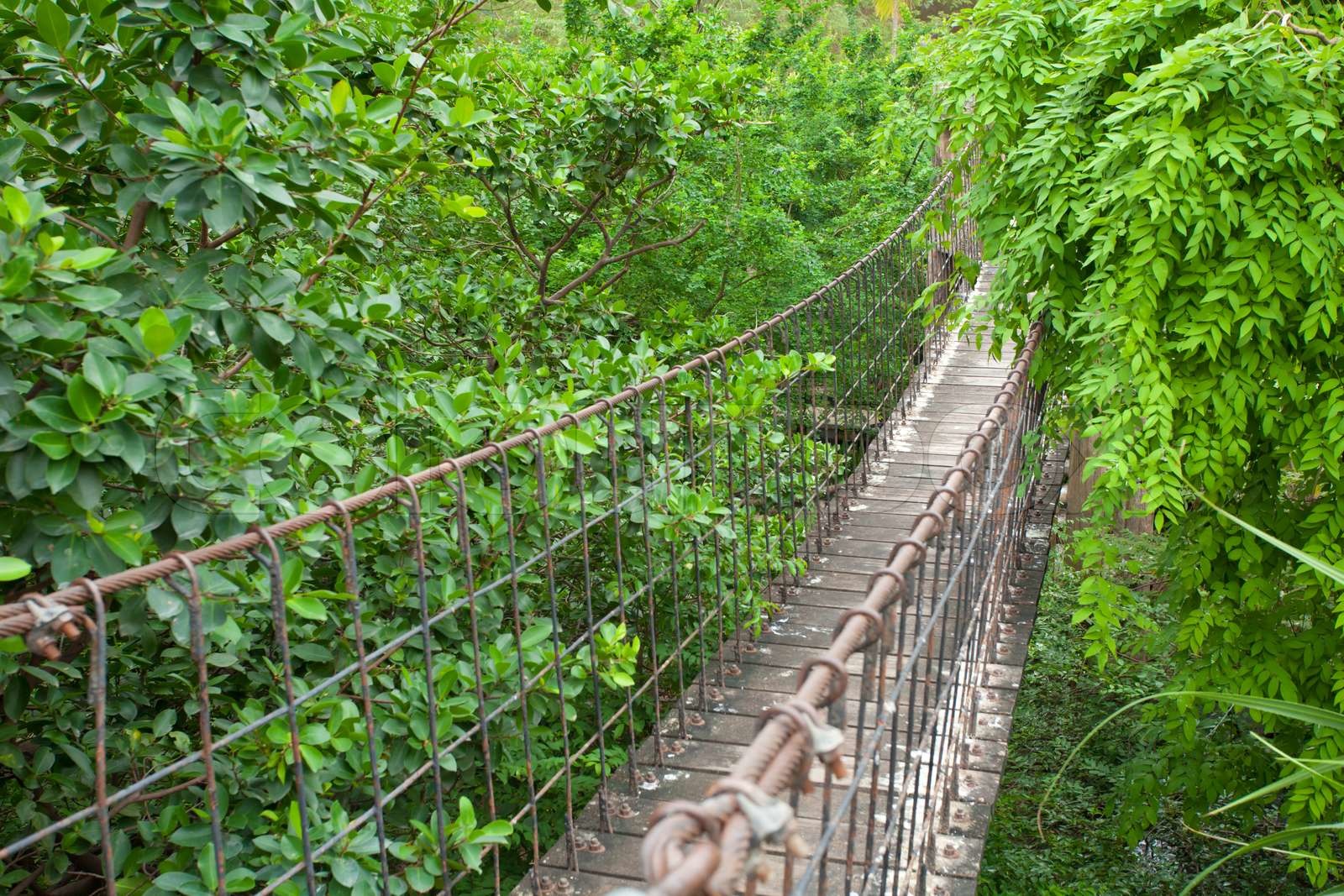Rope walkway through | Stock image | Colourbox