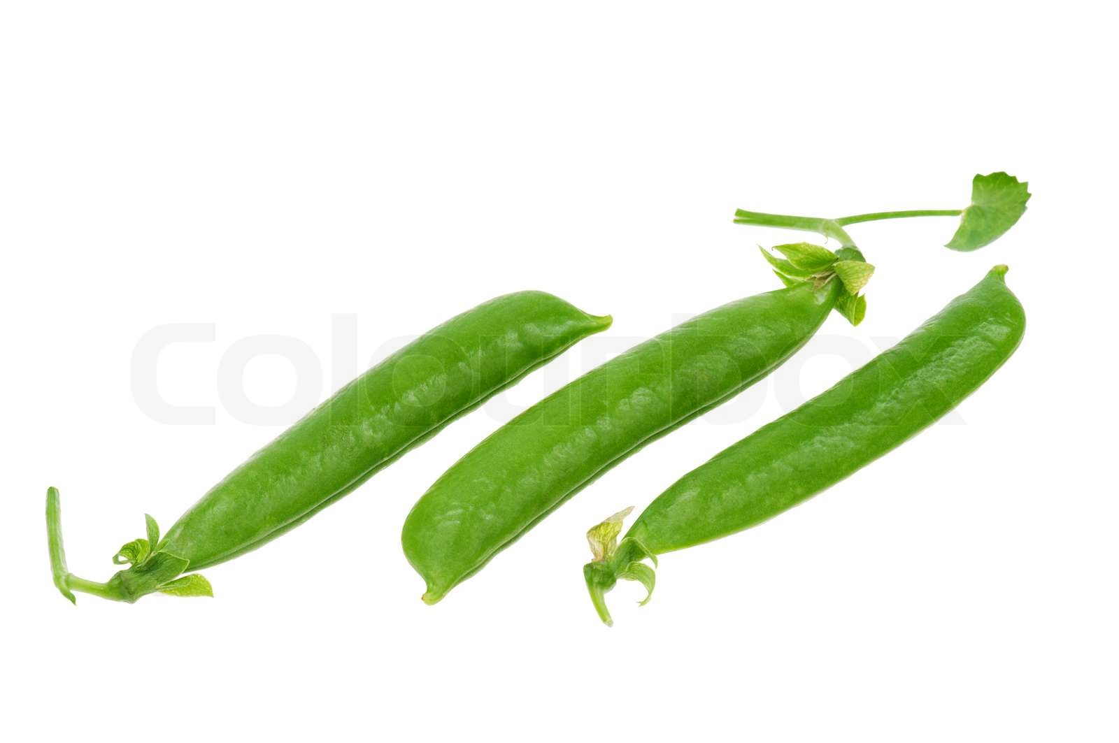 Pea pod | Stock image | Colourbox