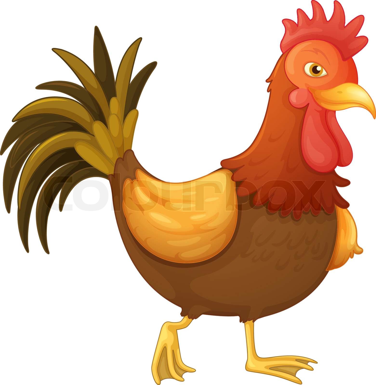 Hahn | Stock-Vektor | Colourbox