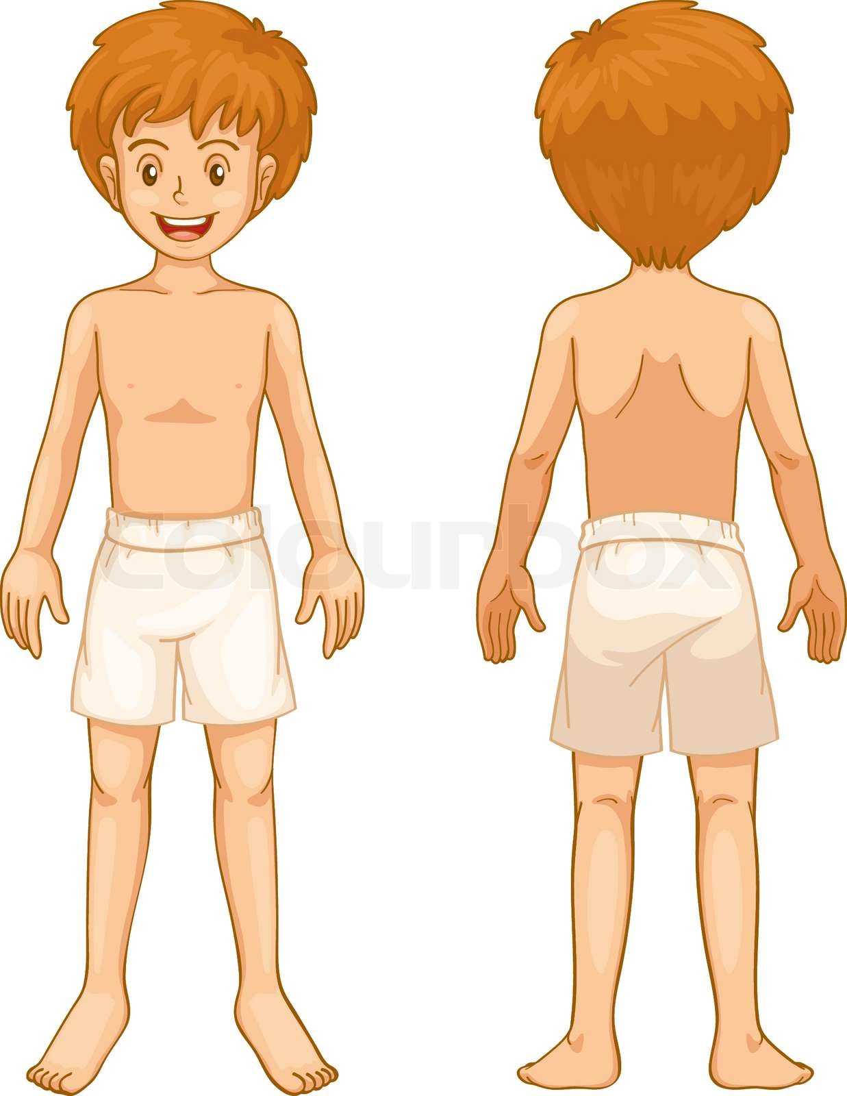 Boy body parts | Stock vector | Colourbox