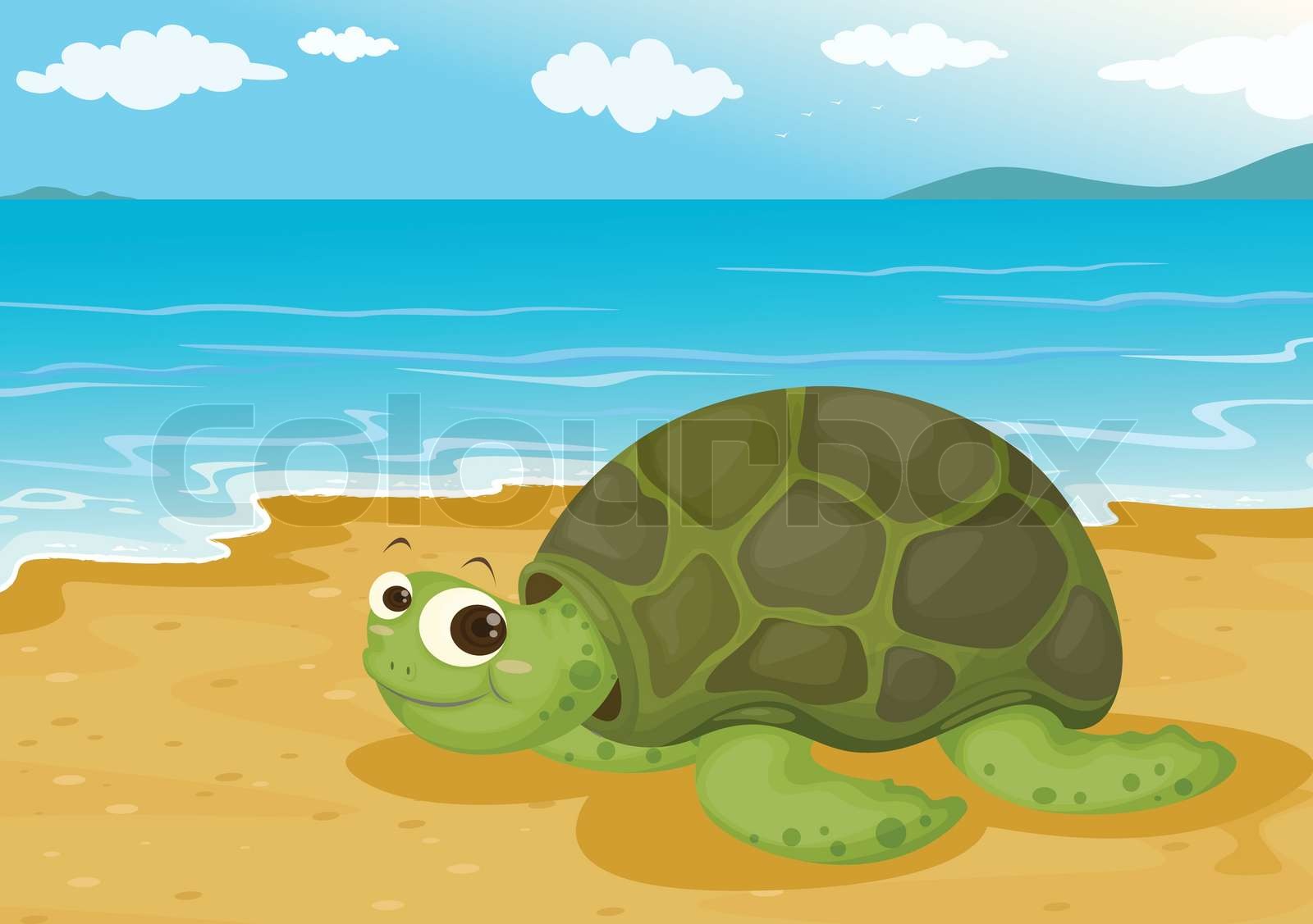 tortoise on sea shore | Stock vector | Colourbox