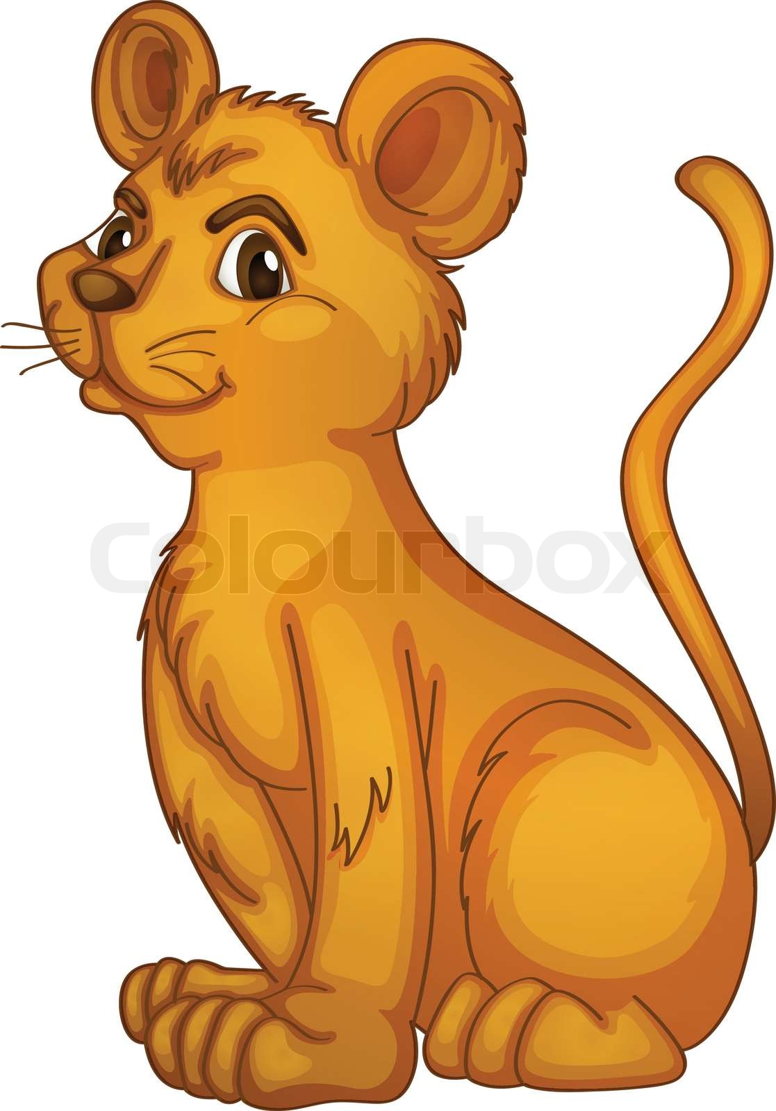 cub on white | Stock vector | Colourbox