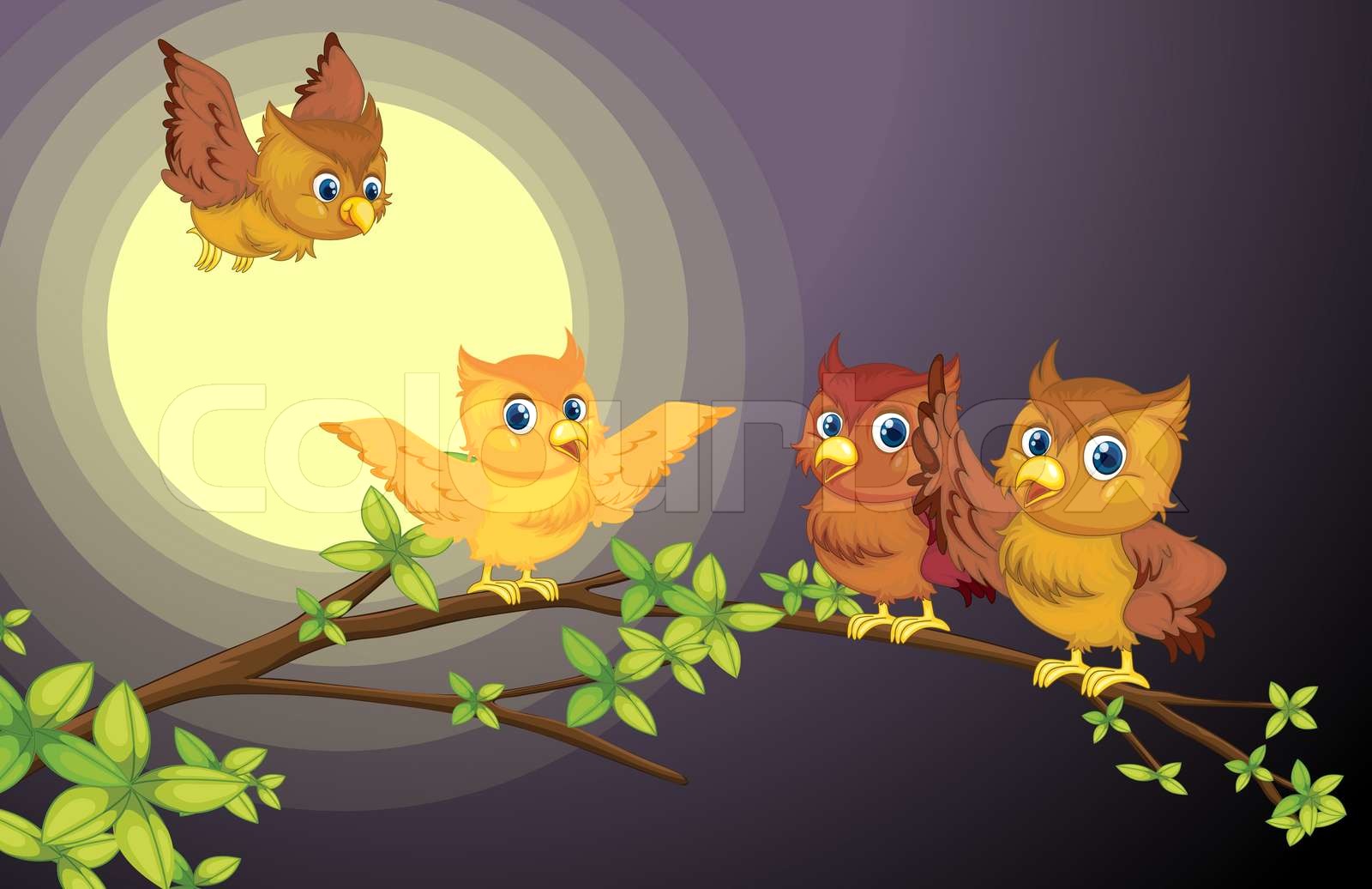 four owls | Stock vector | Colourbox