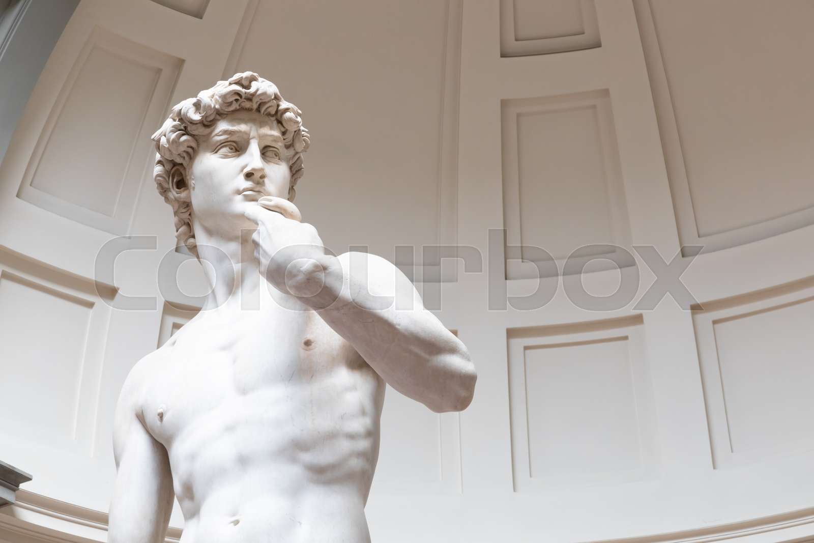 David sculpture by Michelangelo Buonarroti - 1501. The masterpiece of ...