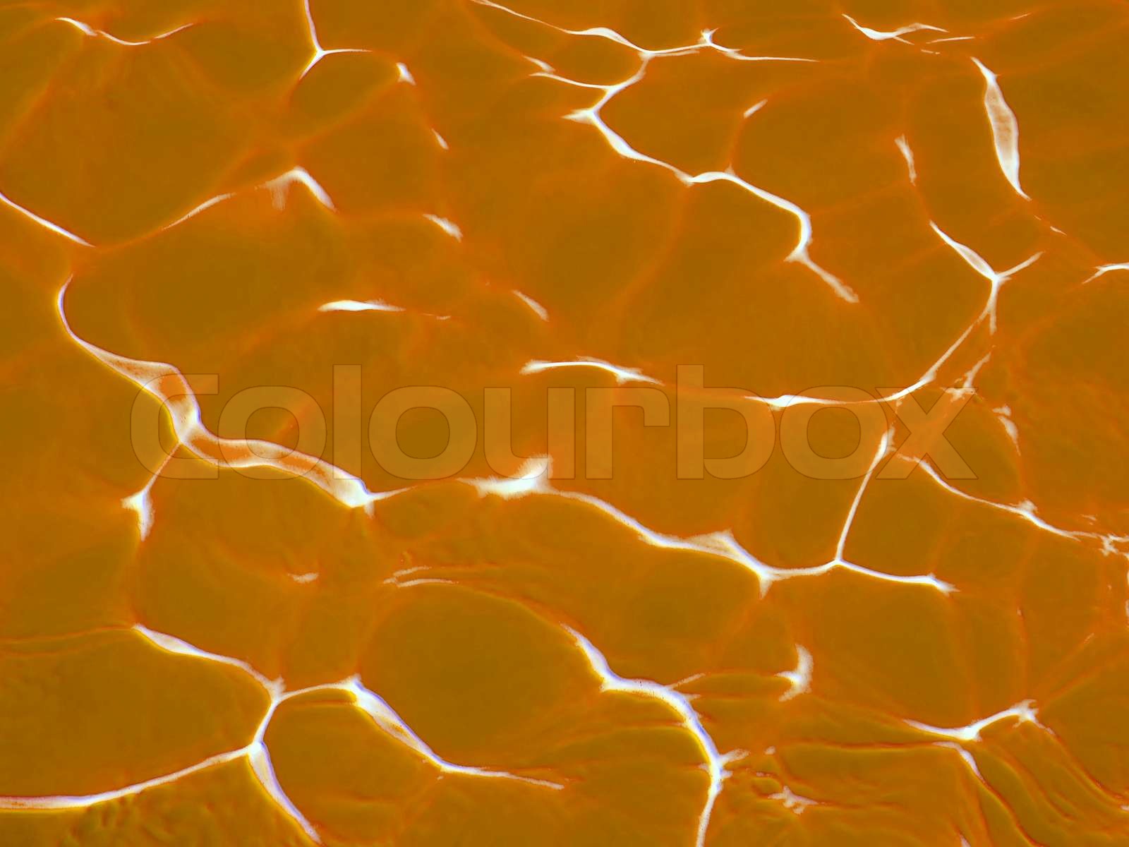 Orange Swimming Pool Water | Stock image | Colourbox