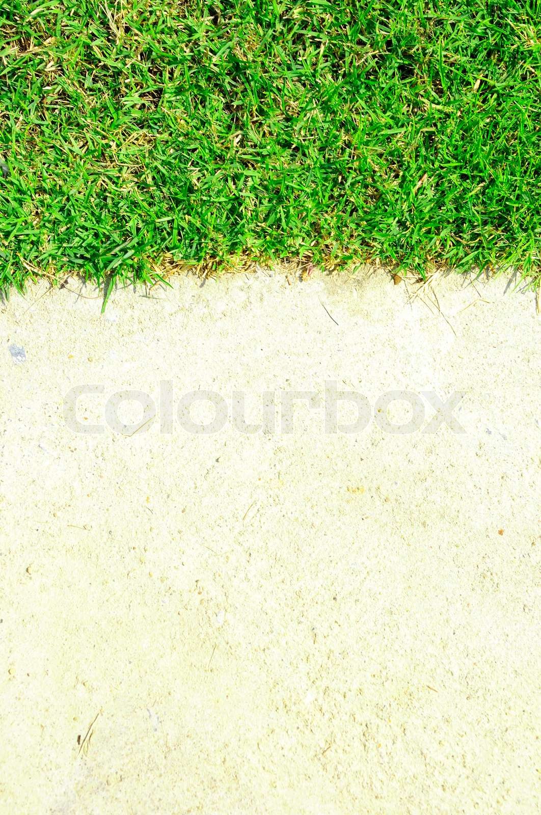 green grass and white sand | Stock image | Colourbox