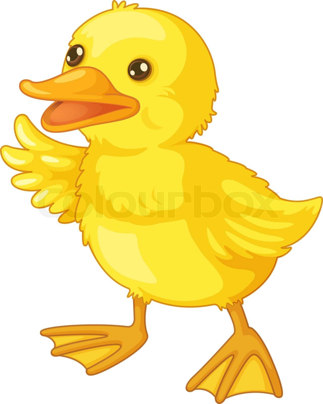 cute cartoon duck | Stock vector | Colourbox