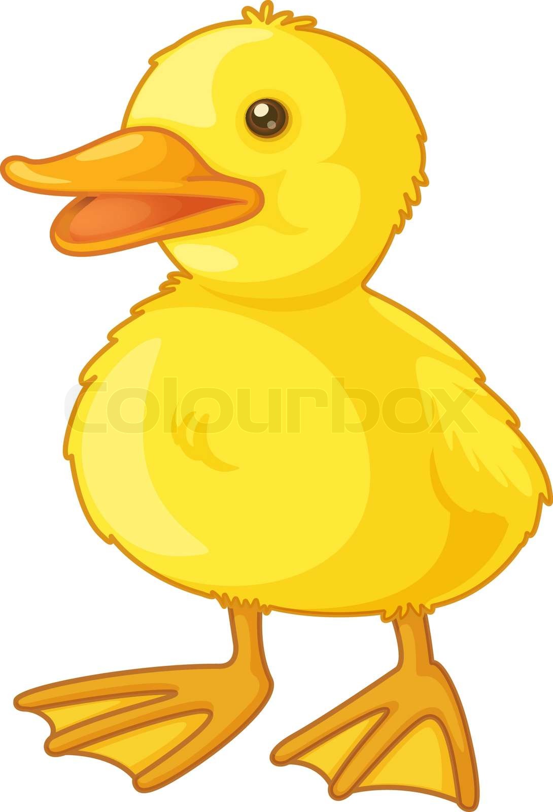 cute cartoon duck | Stock vector | Colourbox