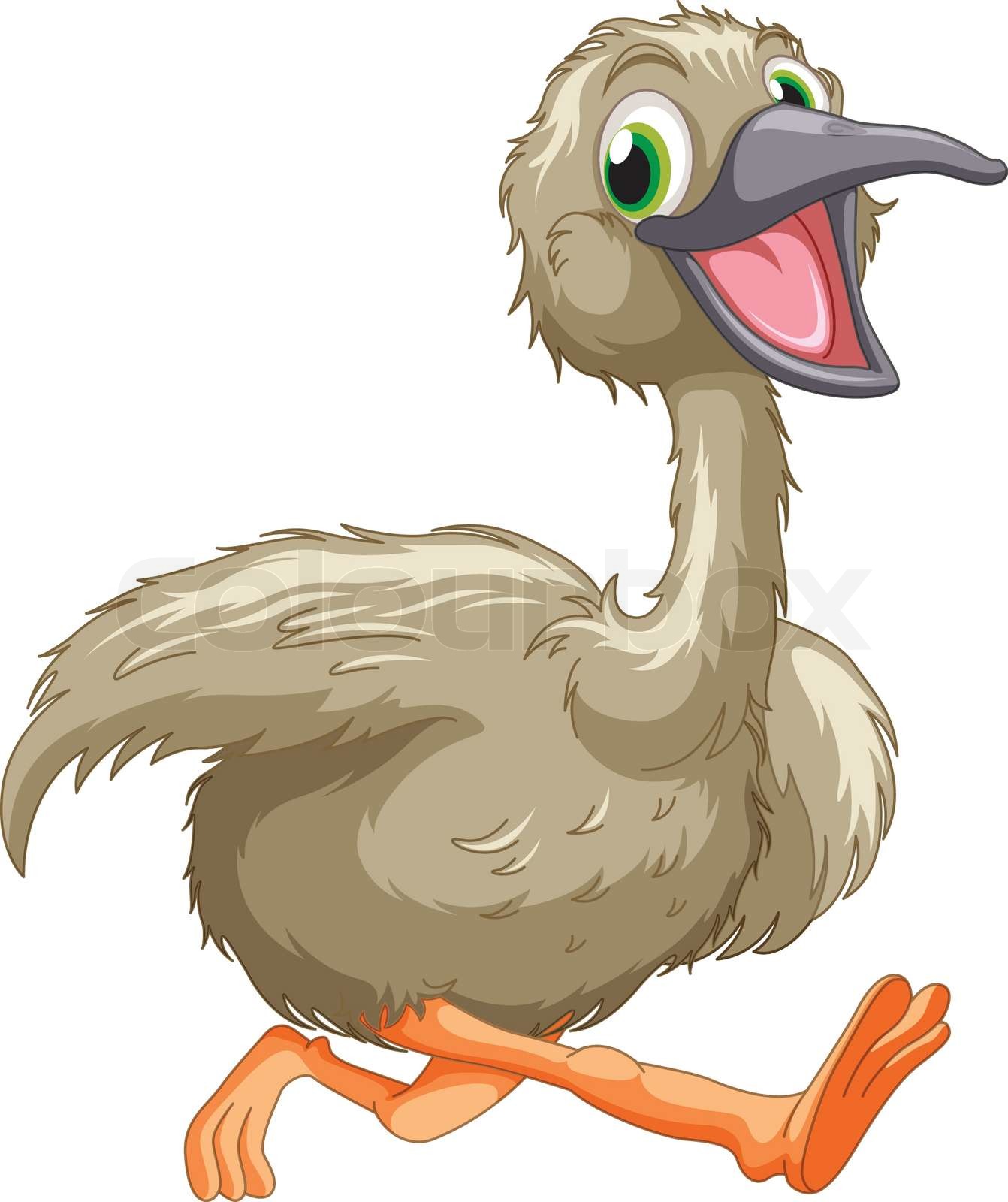 Emu cartoon | Stock vector | Colourbox