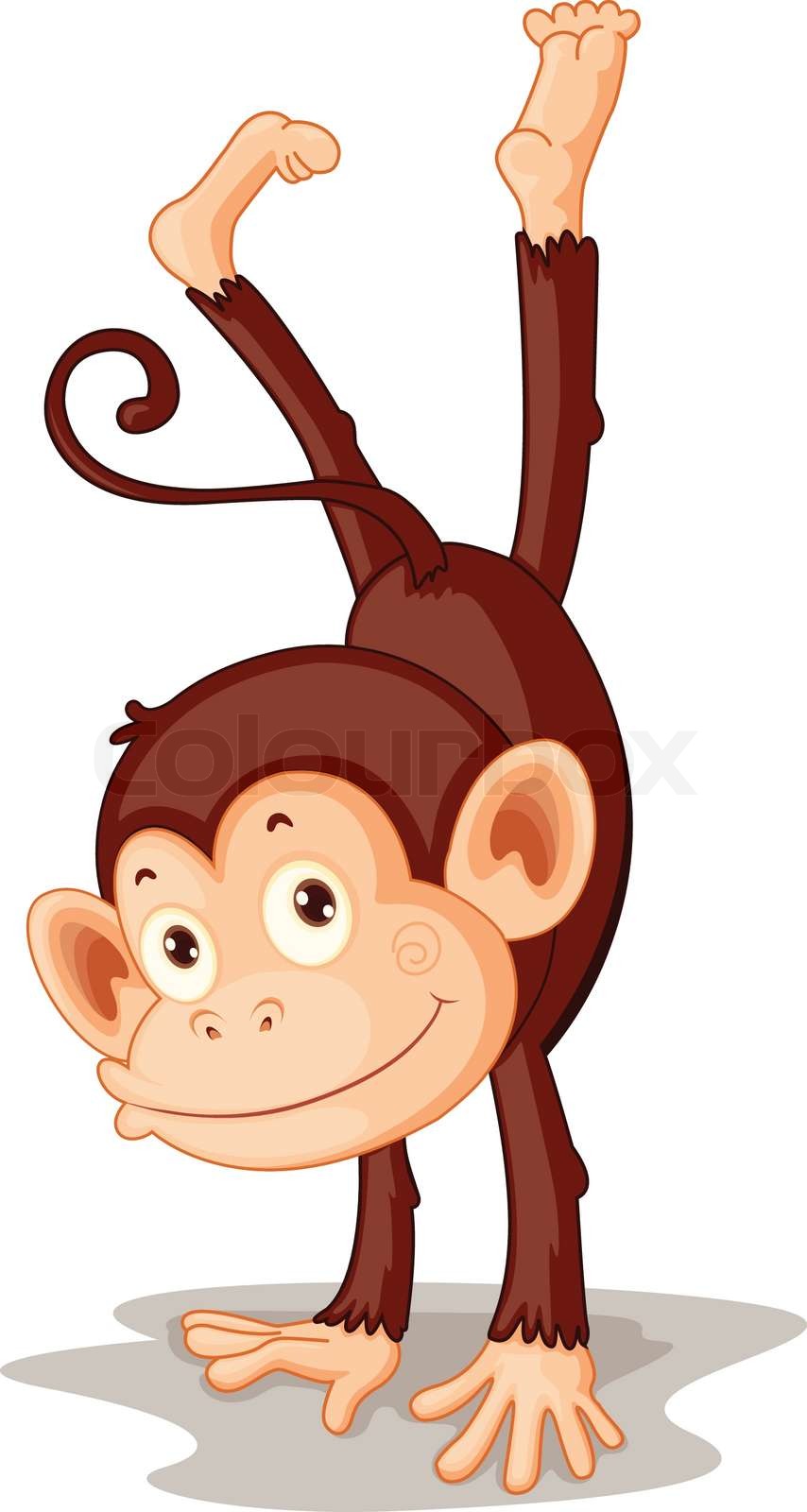 Affe | Stock-Vektor | Colourbox