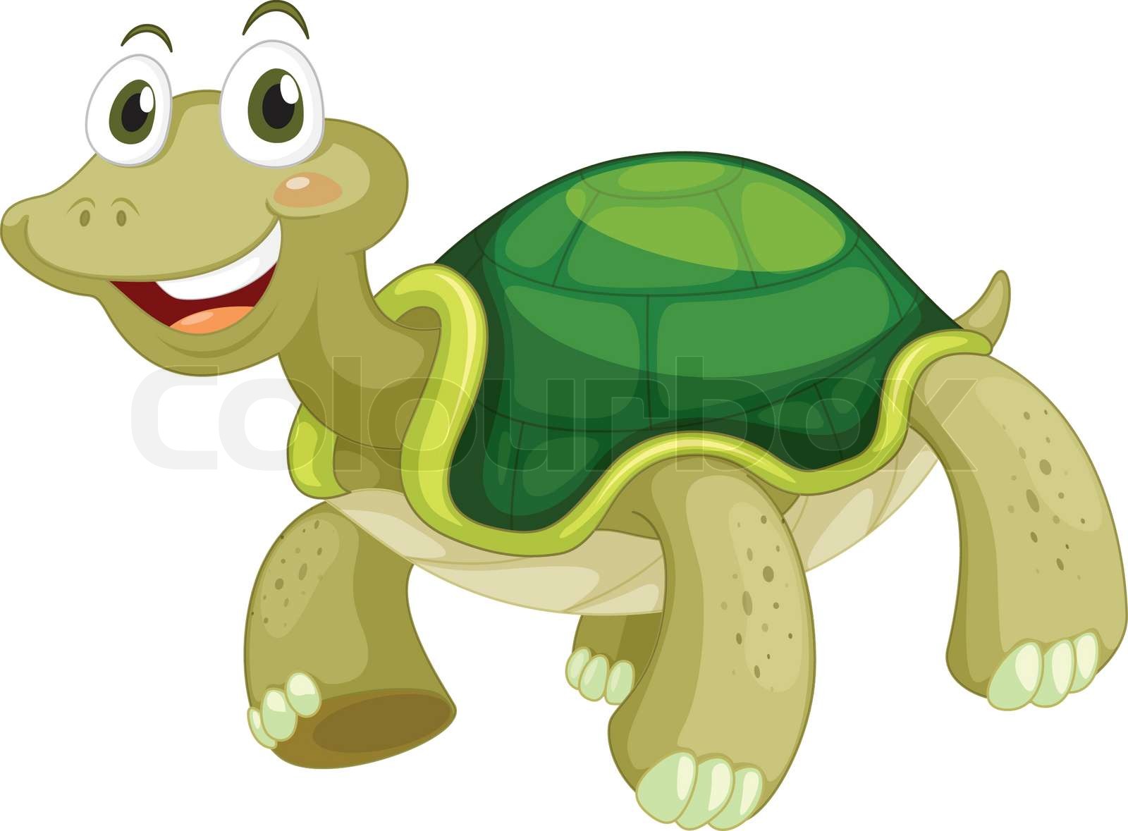 Animated turtle | Stock vector | Colourbox