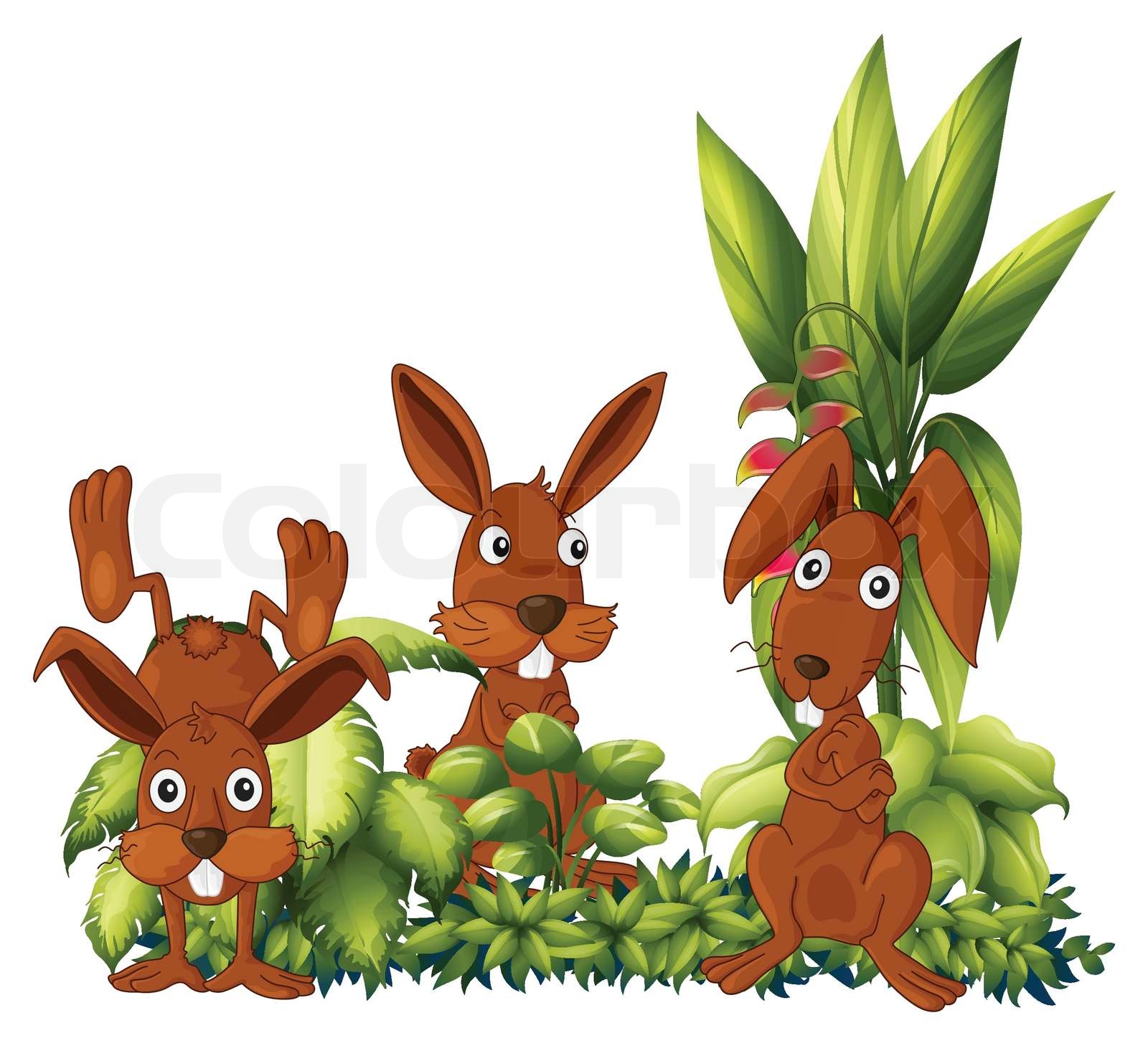Three rabbits | Stock vector | Colourbox