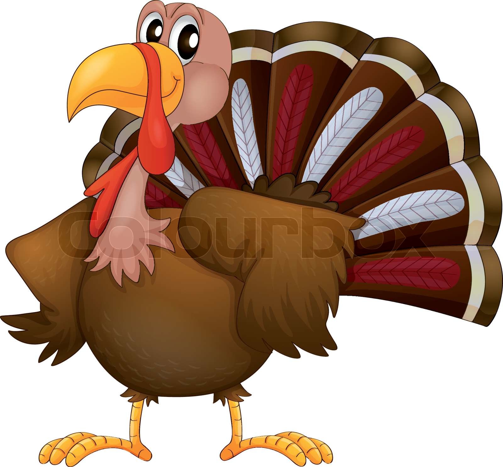 An angry turkey | Stock vector | Colourbox