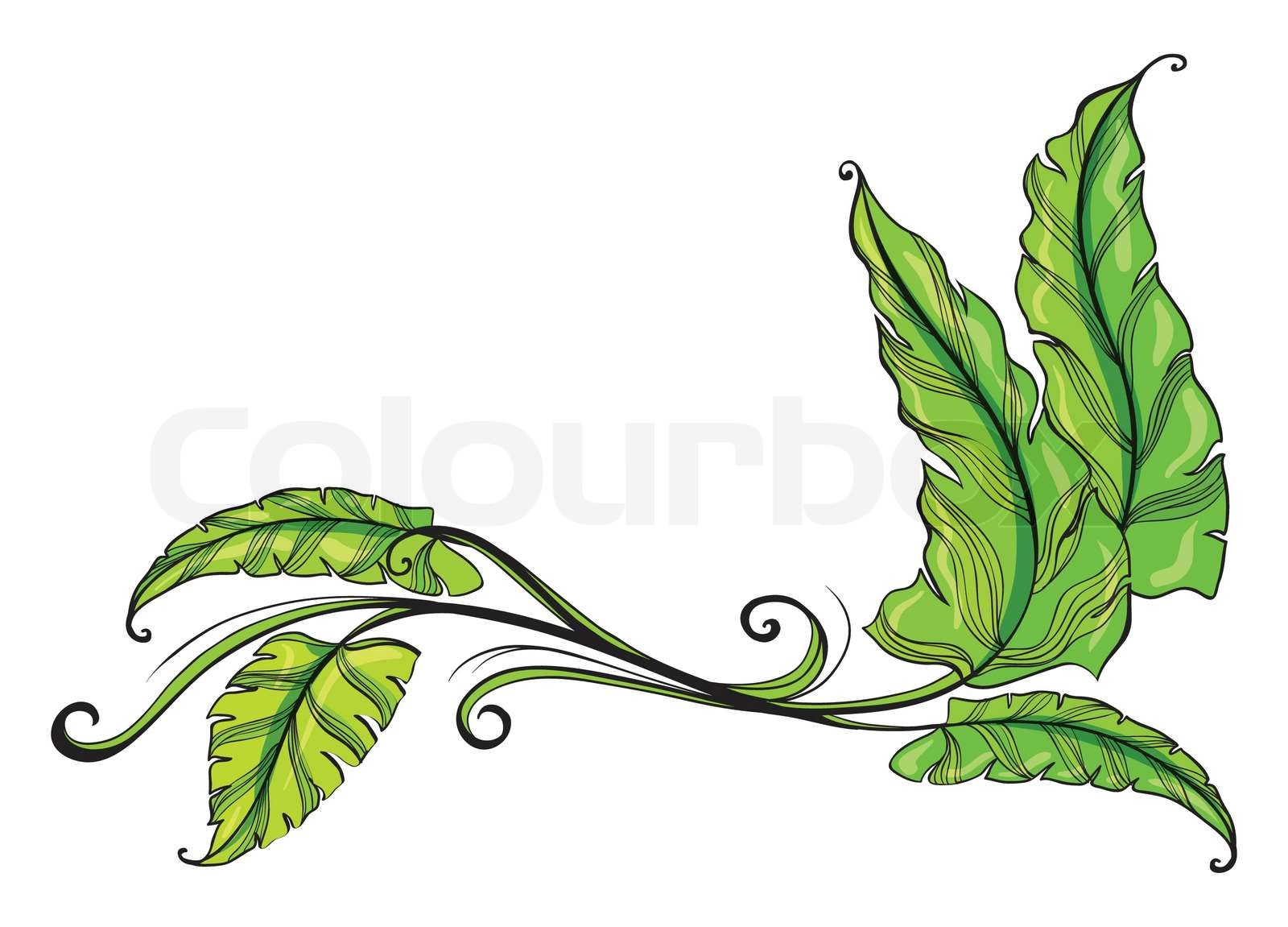 Green long leaves | Stock vector | Colourbox