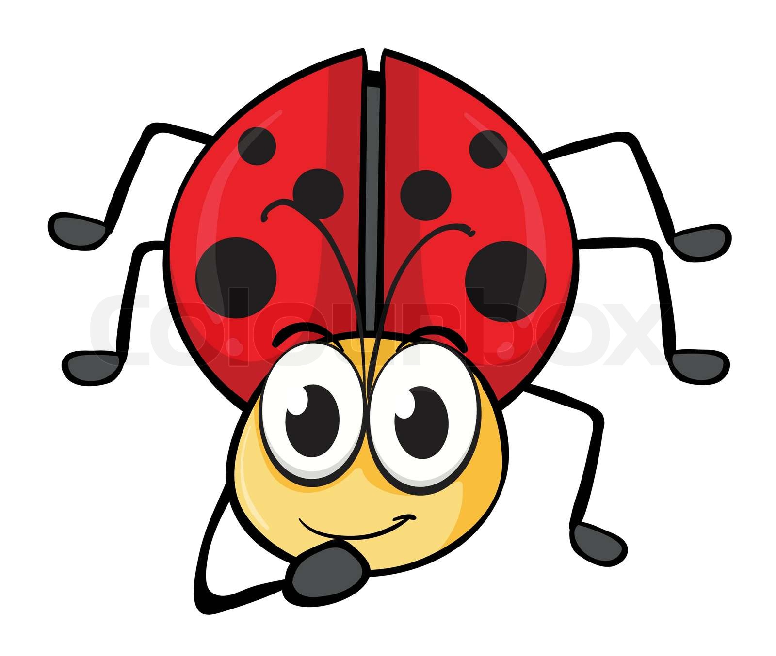 A Ladybug Stock Vector Colourbox