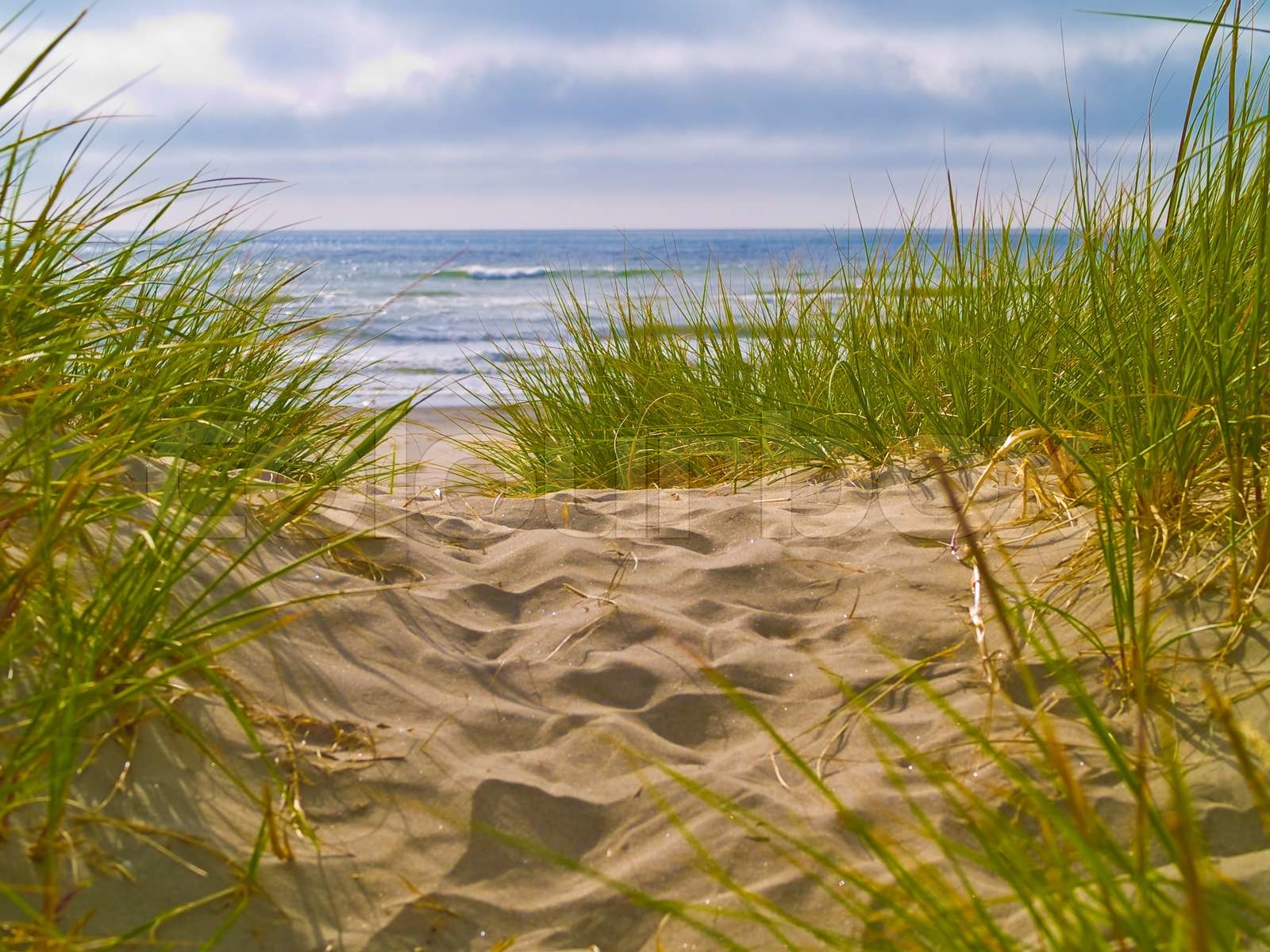 Sandy Path to the Beach with Seagrass | Stock image | Colourbox