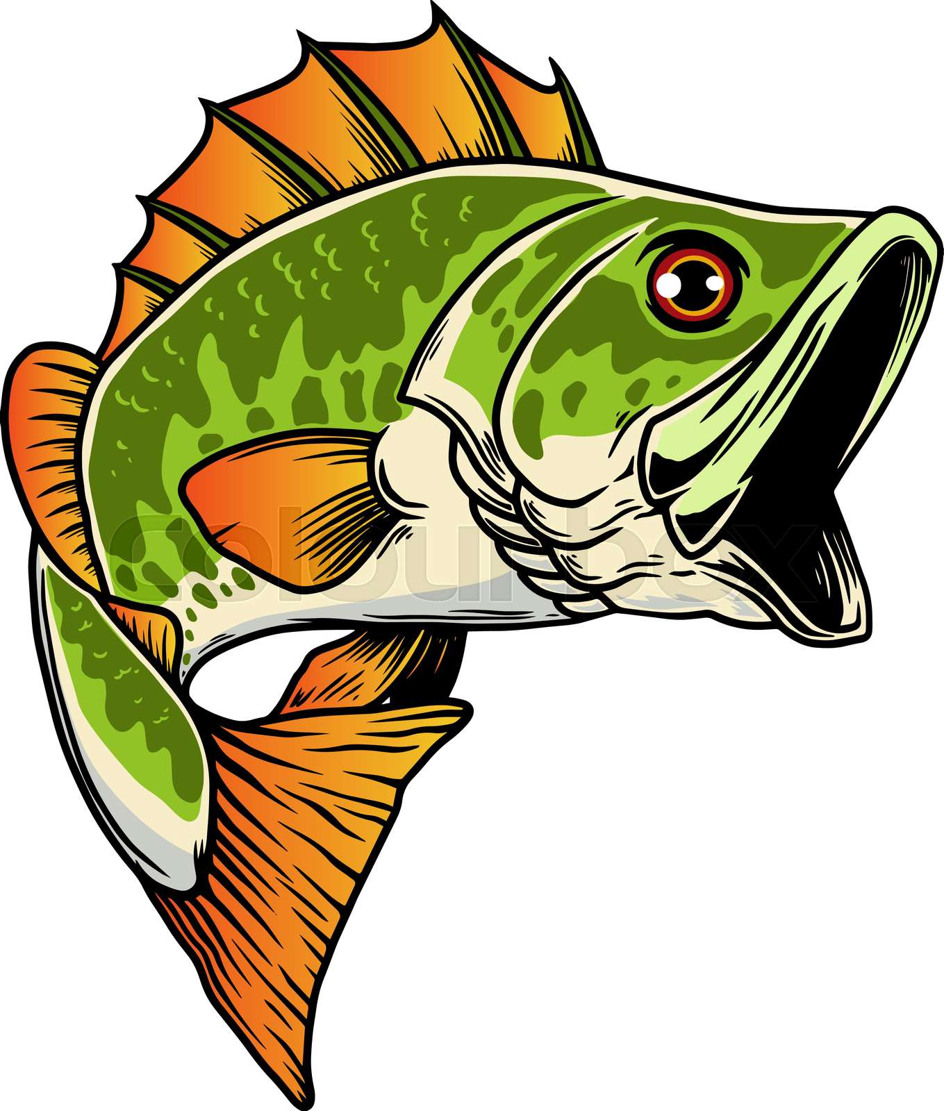 Illustration of bass fish. Big perch. Perch fishing. Design element for ...