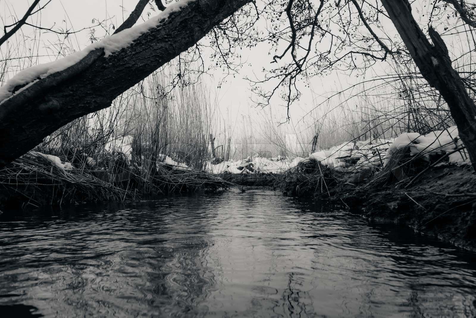 Cold river at wintertime | Stock image | Colourbox