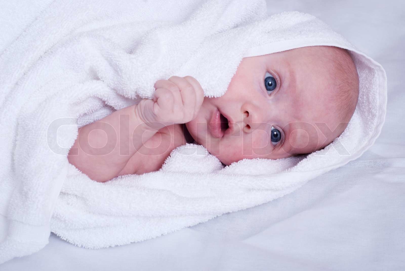 Newborn | Stock image | Colourbox