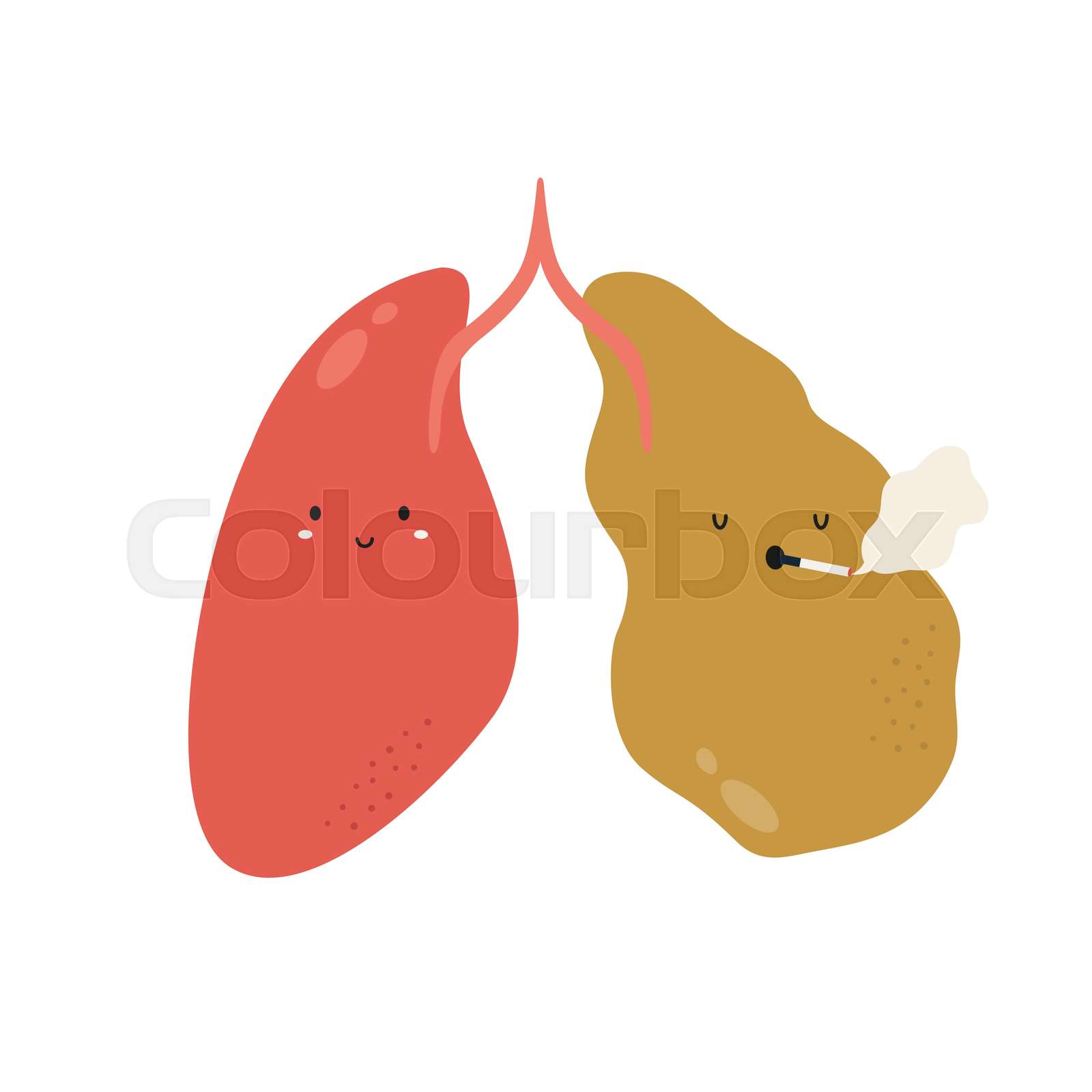 Vector illustration of healthy lungs and ill smoking one. Normal lung ...