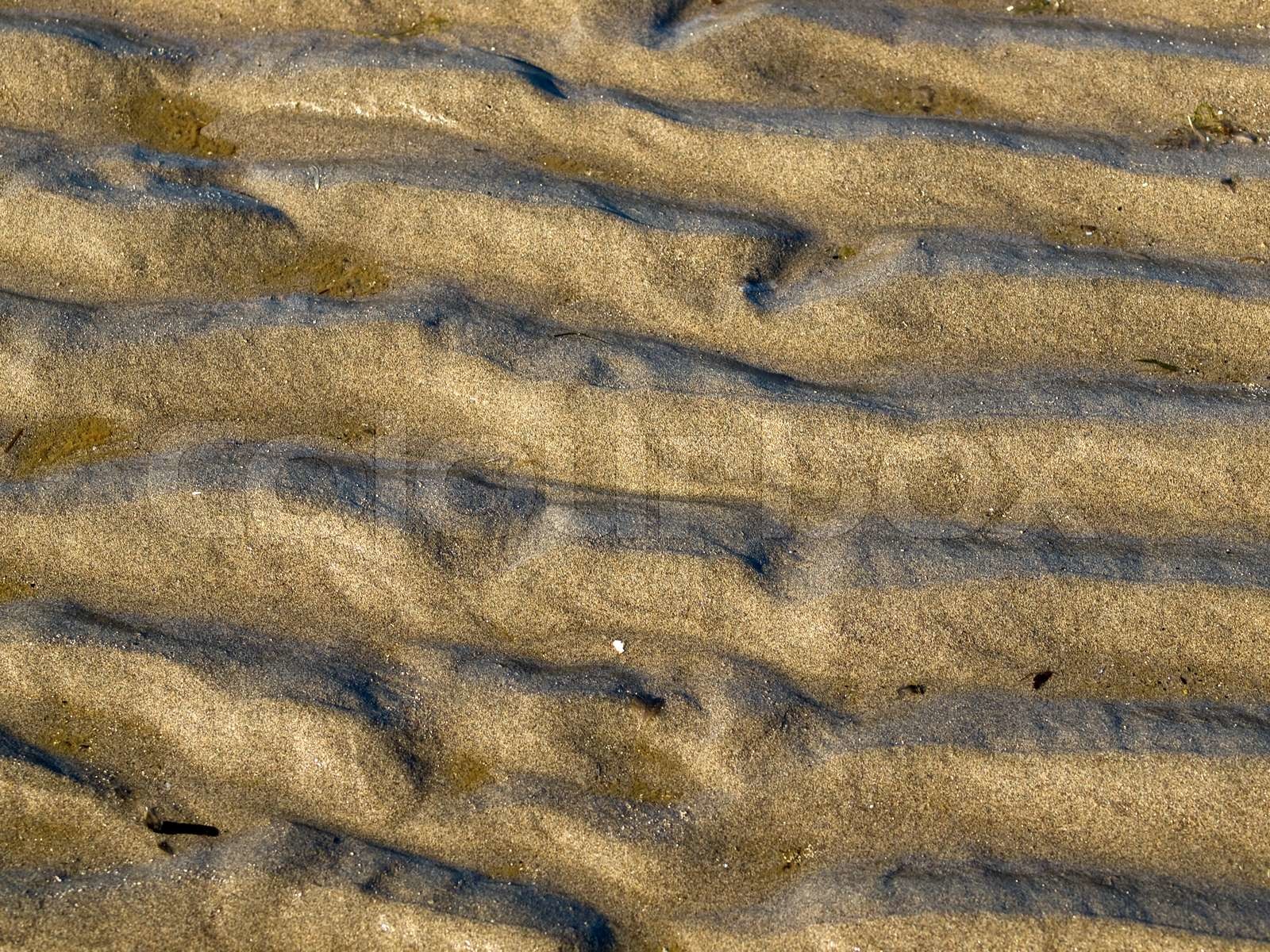 Abstract Background of Deep Sand Ripples at the Beach | Stock image ...