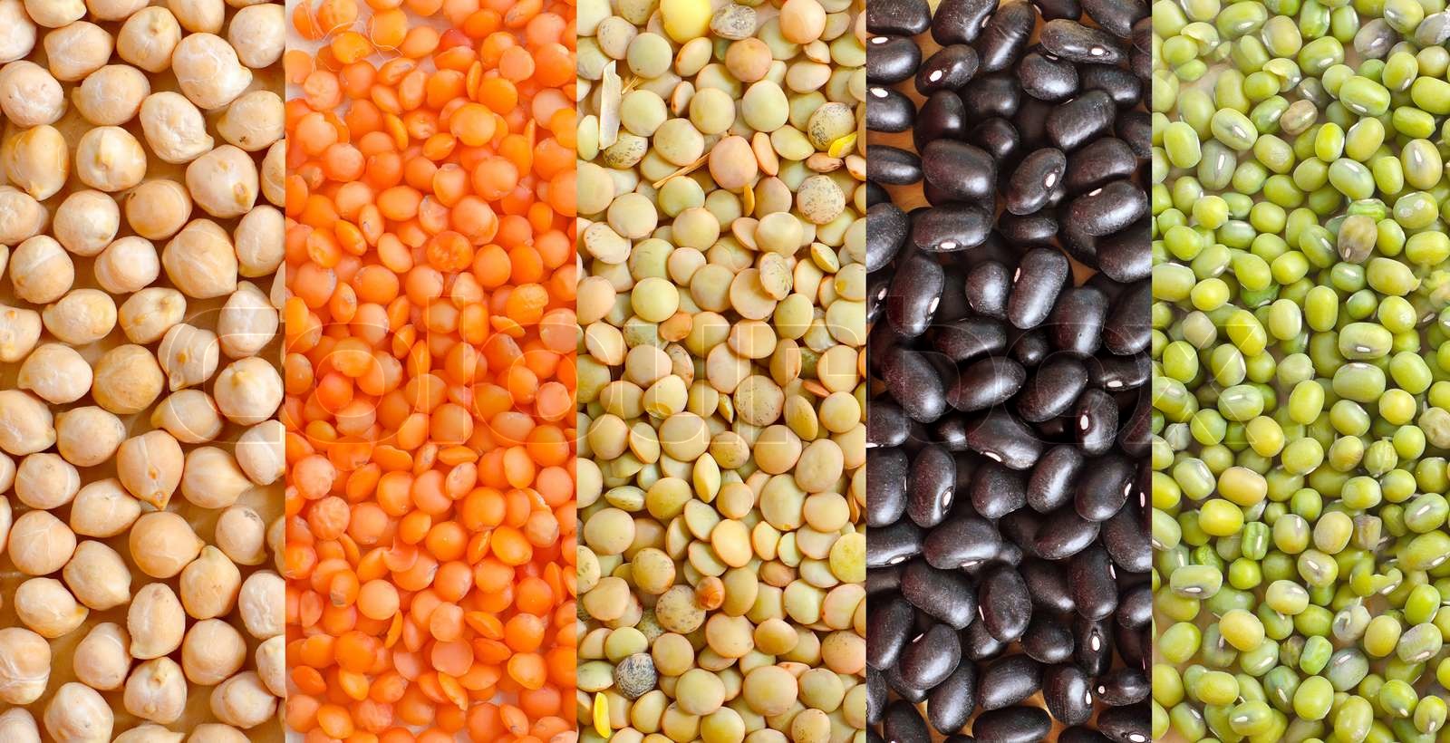 verschiedene Arten von Bohnen | Stock Bild | Colourbox