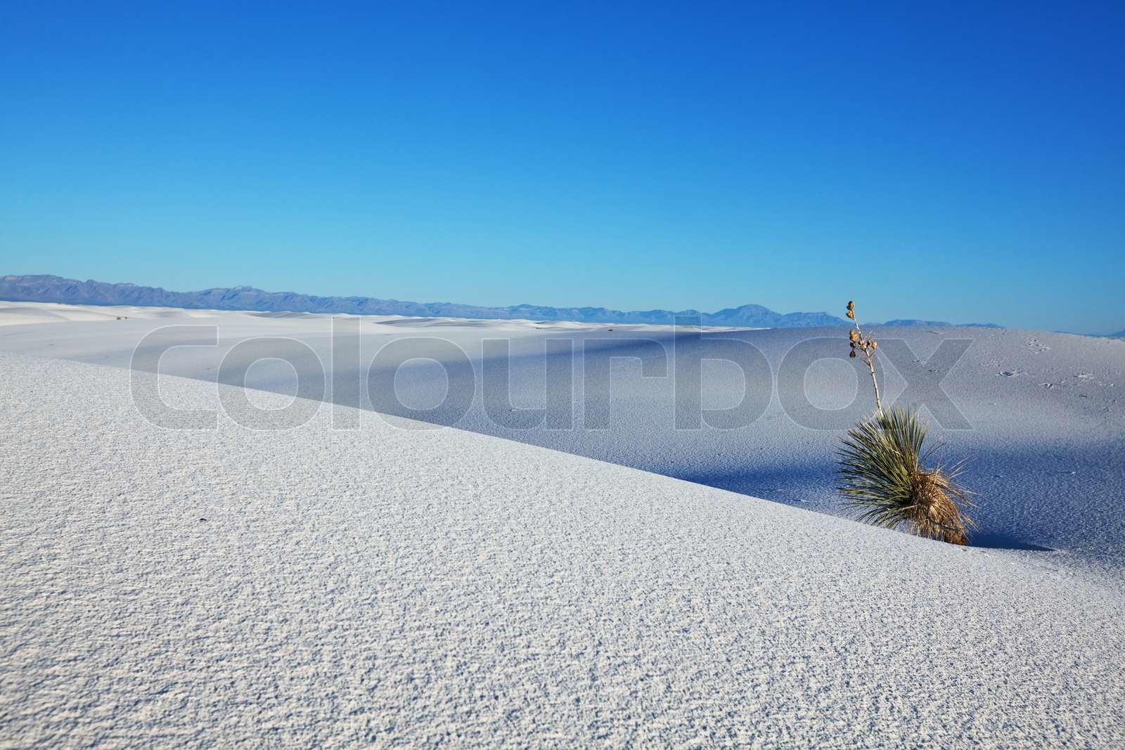 White desert | Stock image | Colourbox
