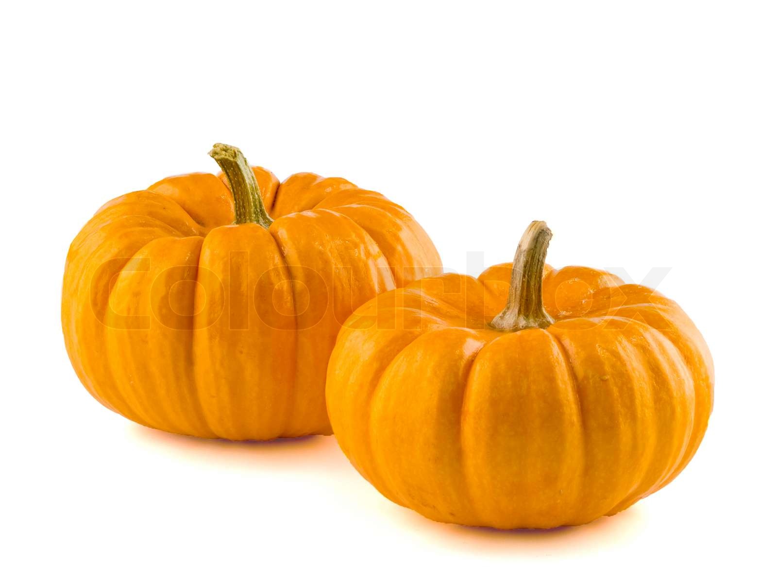 Mini Pumpkins Isolated on a White Background | Stock image | Colourbox