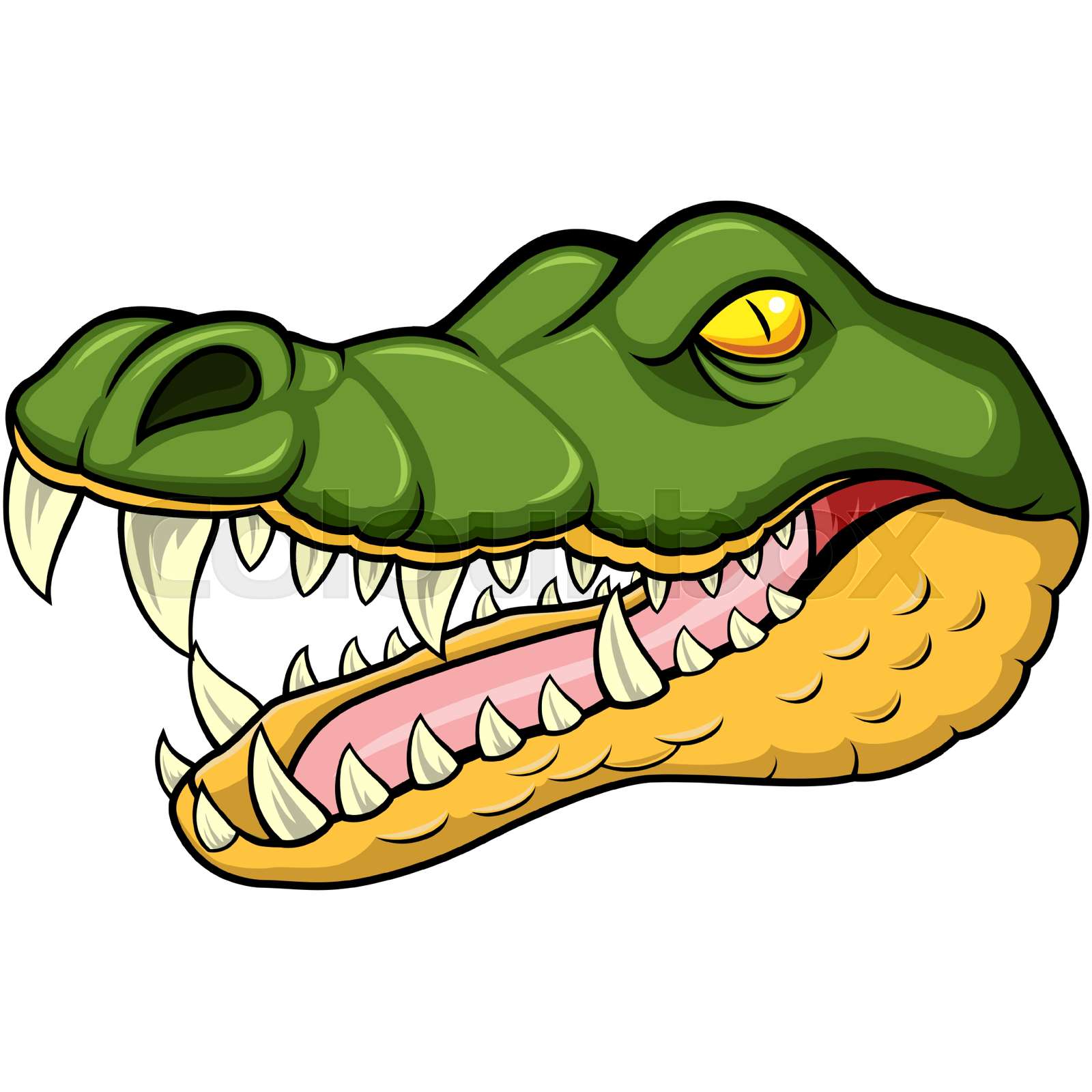 Crocodile Head Cartoon