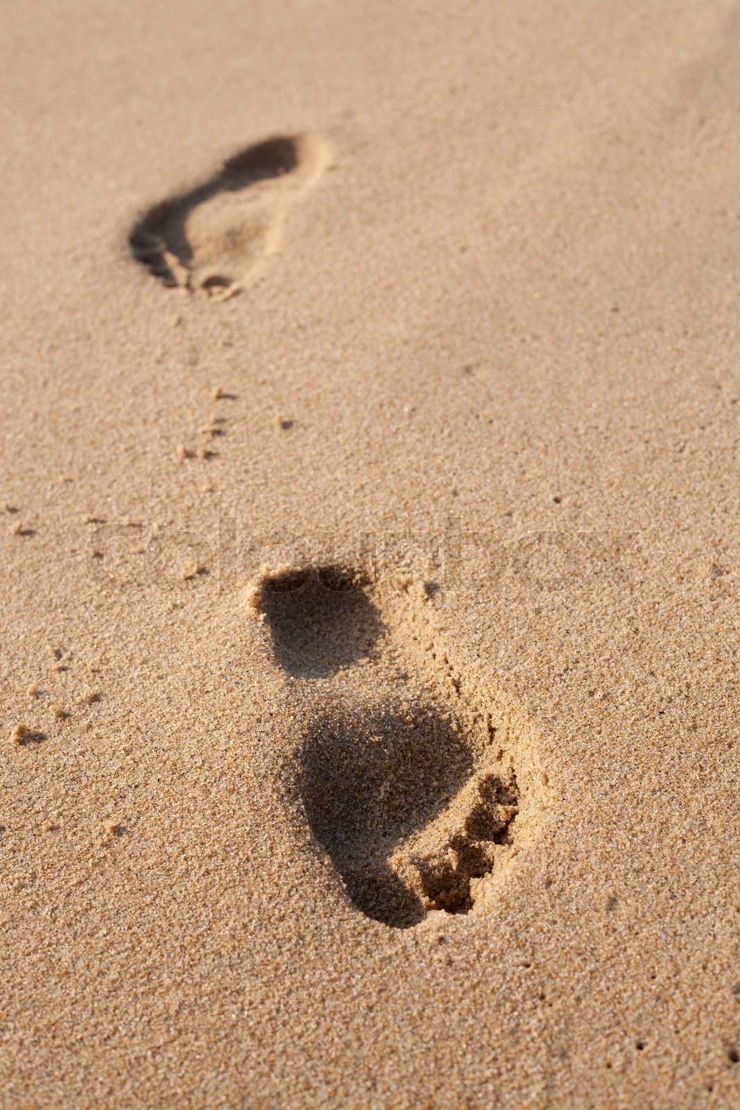 Footprints on the beach sand | Stock image | Colourbox