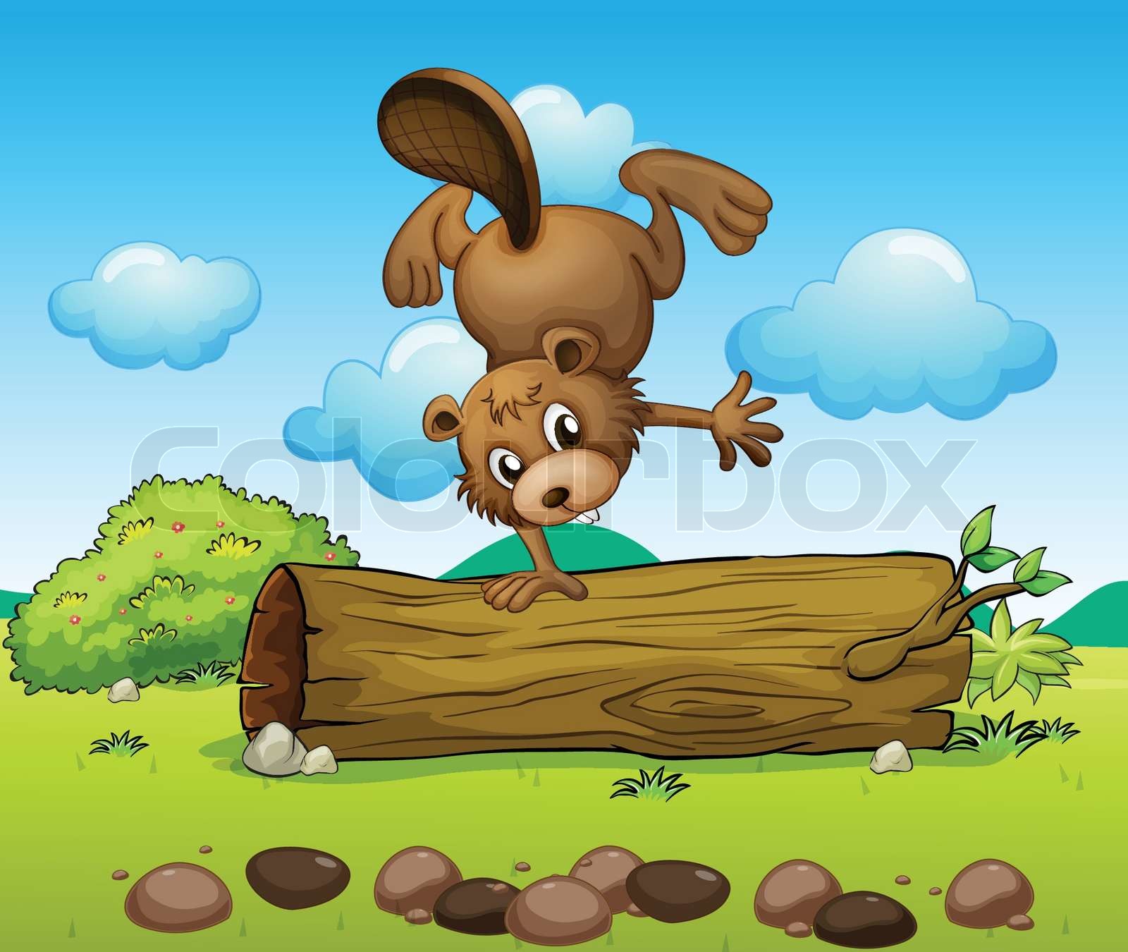 A playful beaver | Stock vector | Colourbox