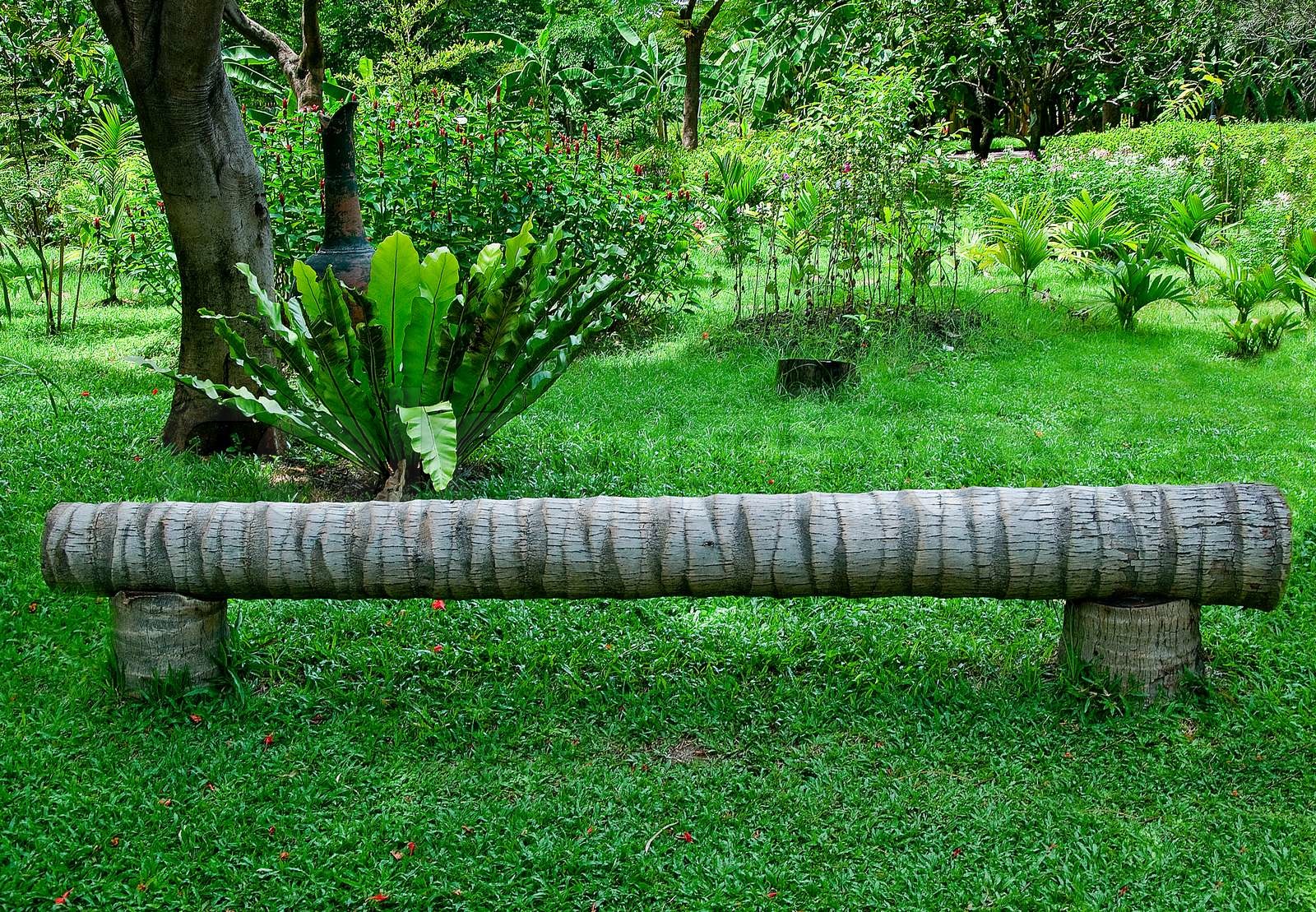 The Bench coconut wood in park | Stock image | Colourbox