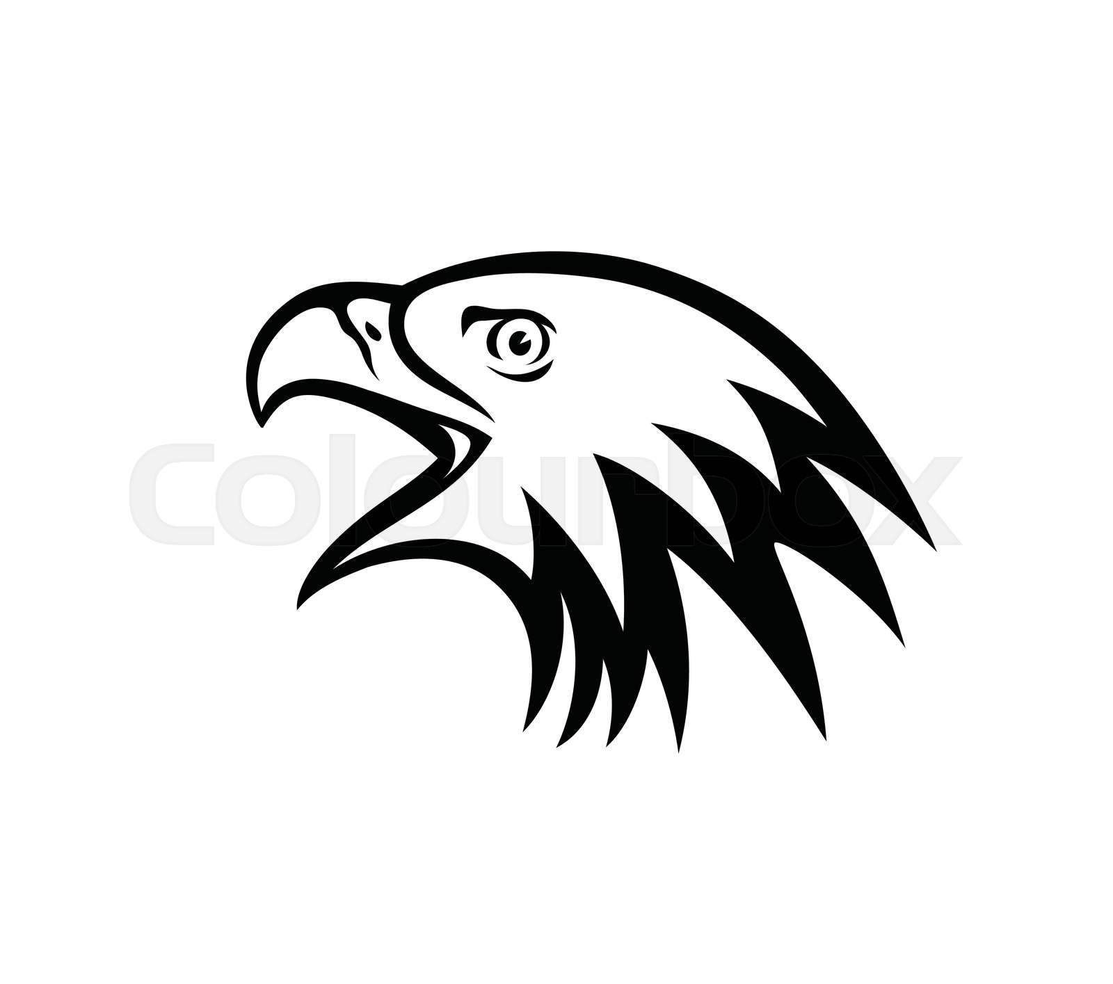 Eagle Face logo | Stock vector | Colourbox