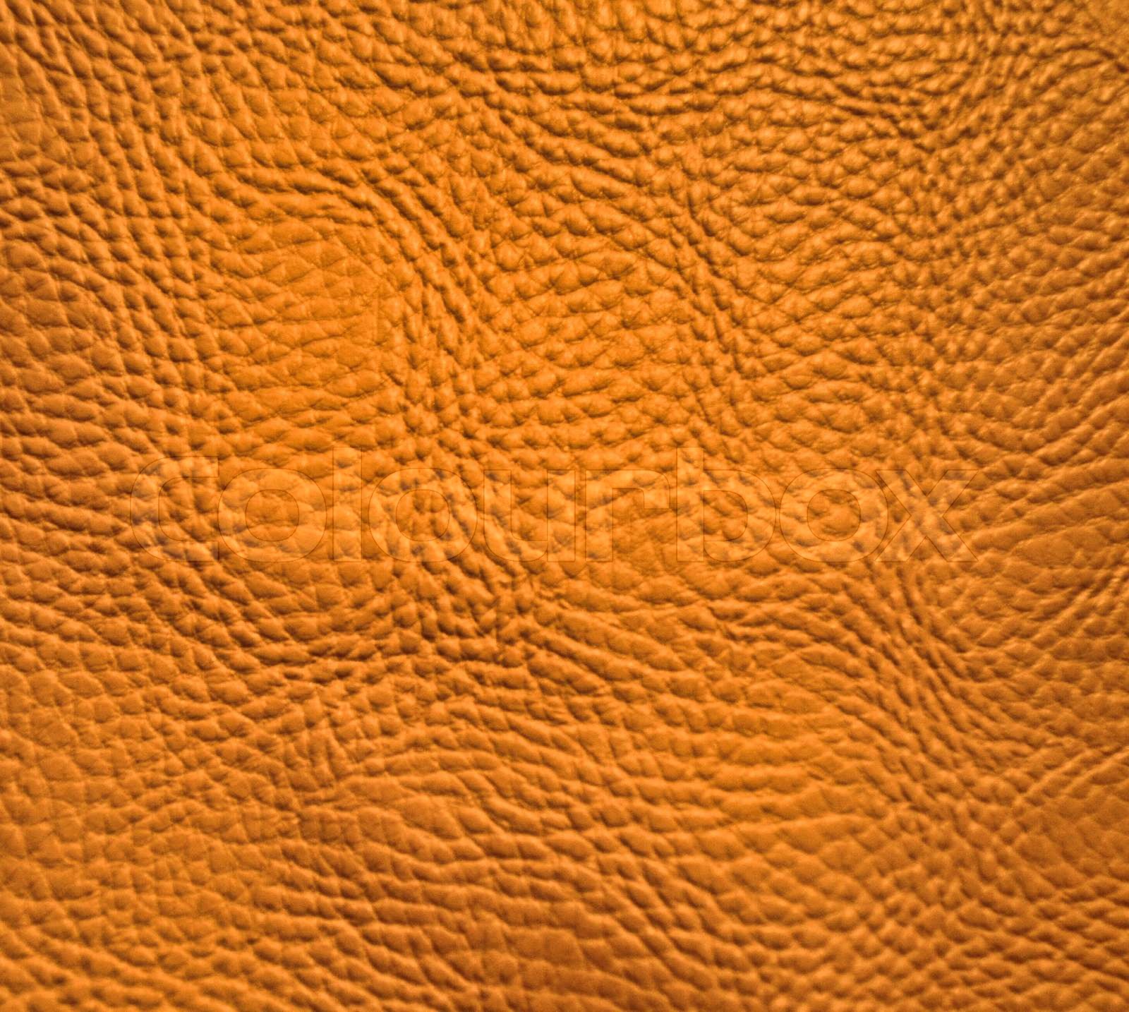 Orange skin texture | Stock image | Colourbox
