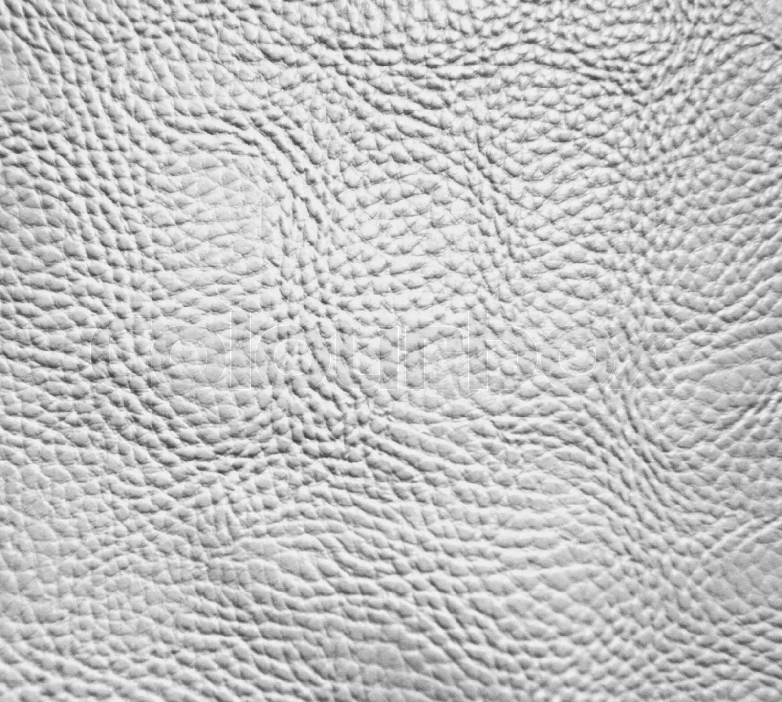 White skin texture | Stock image | Colourbox