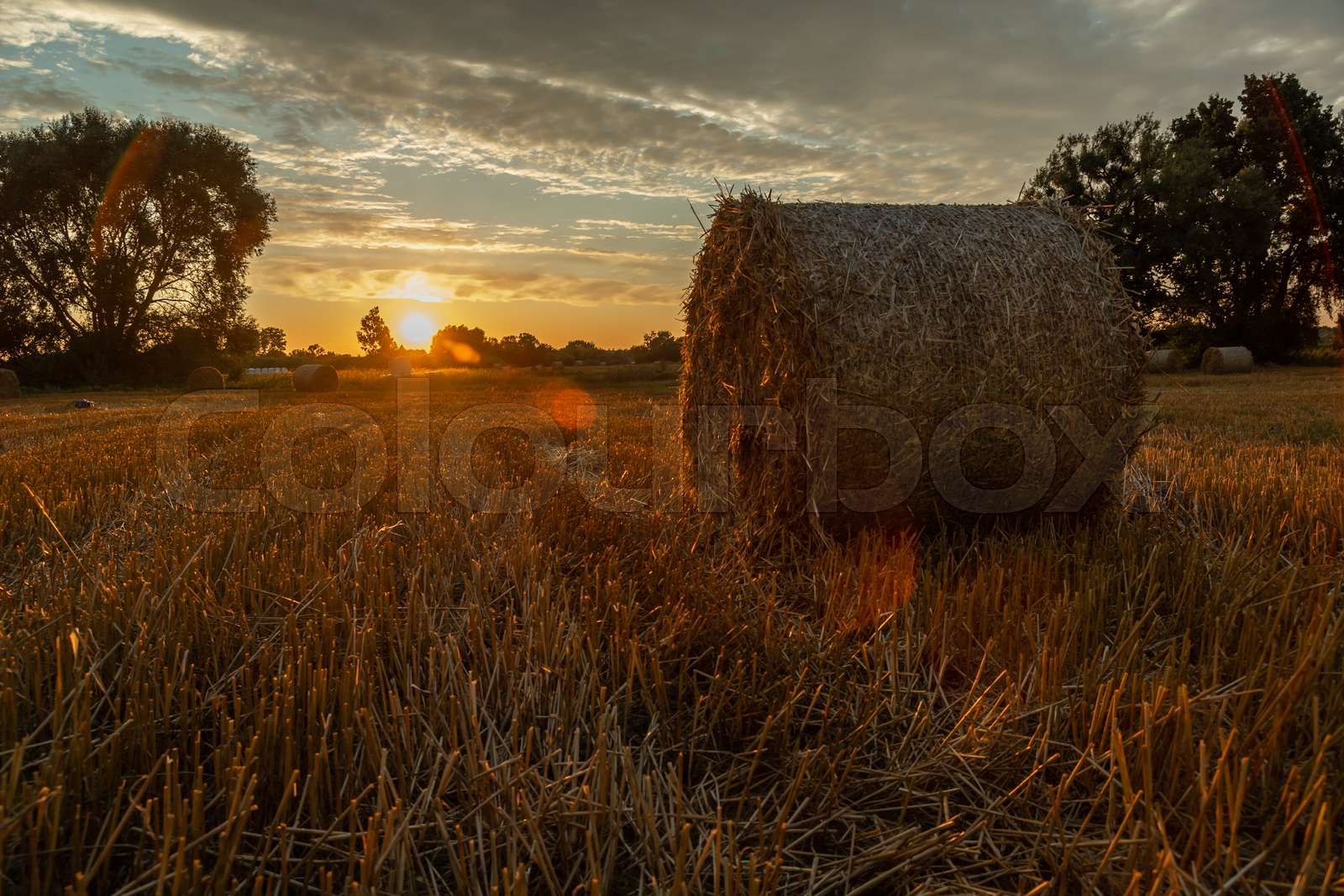 Hay Field Sunset