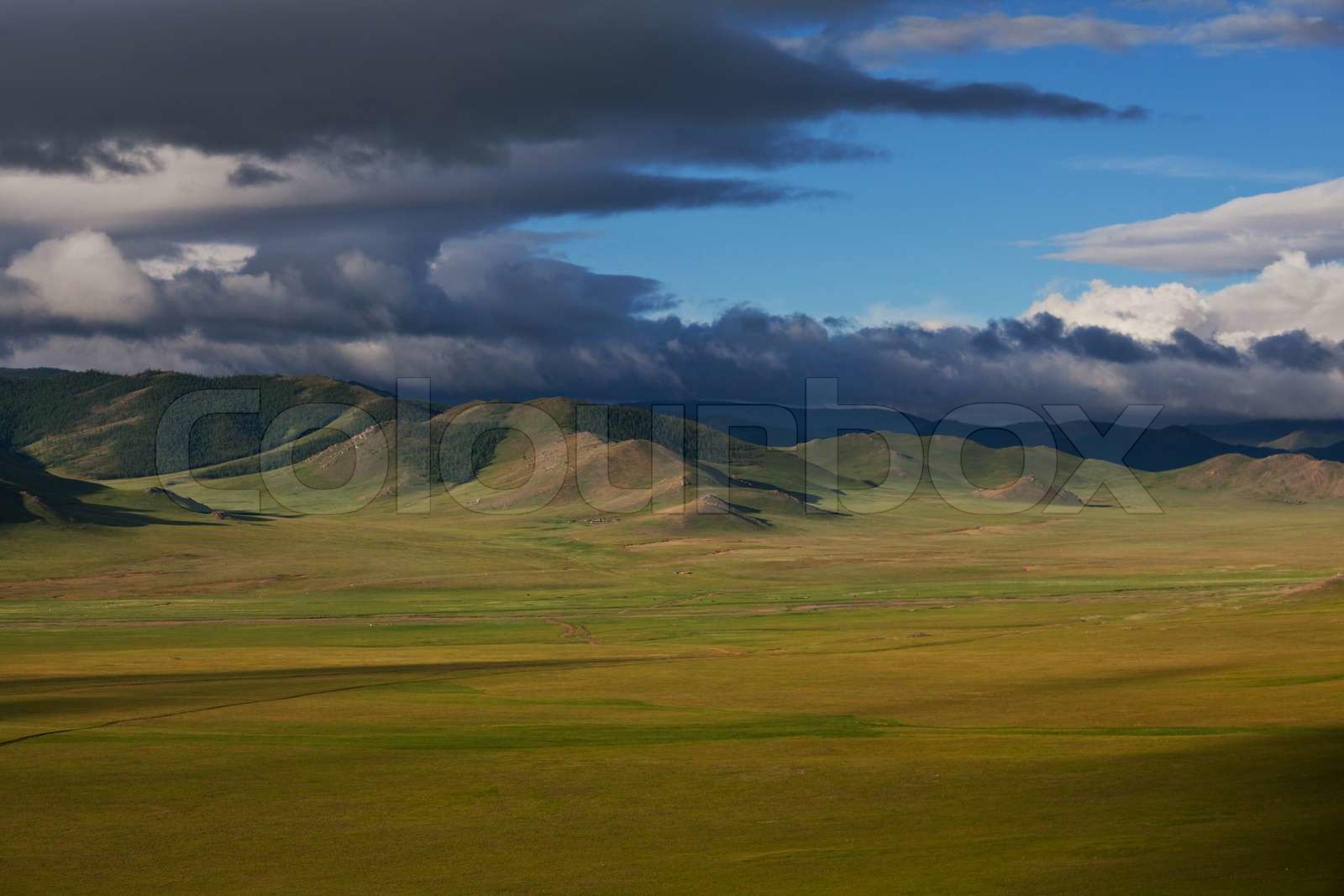 Prairie | Stock image | Colourbox