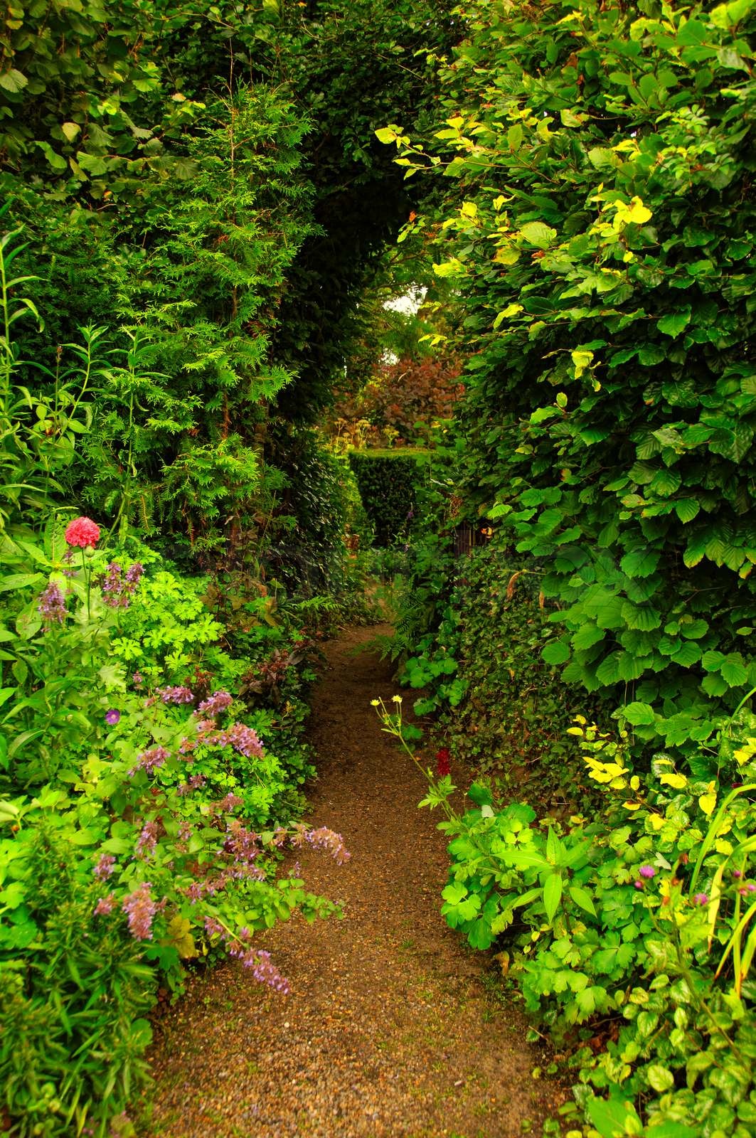 Garden passage | Stock image | Colourbox