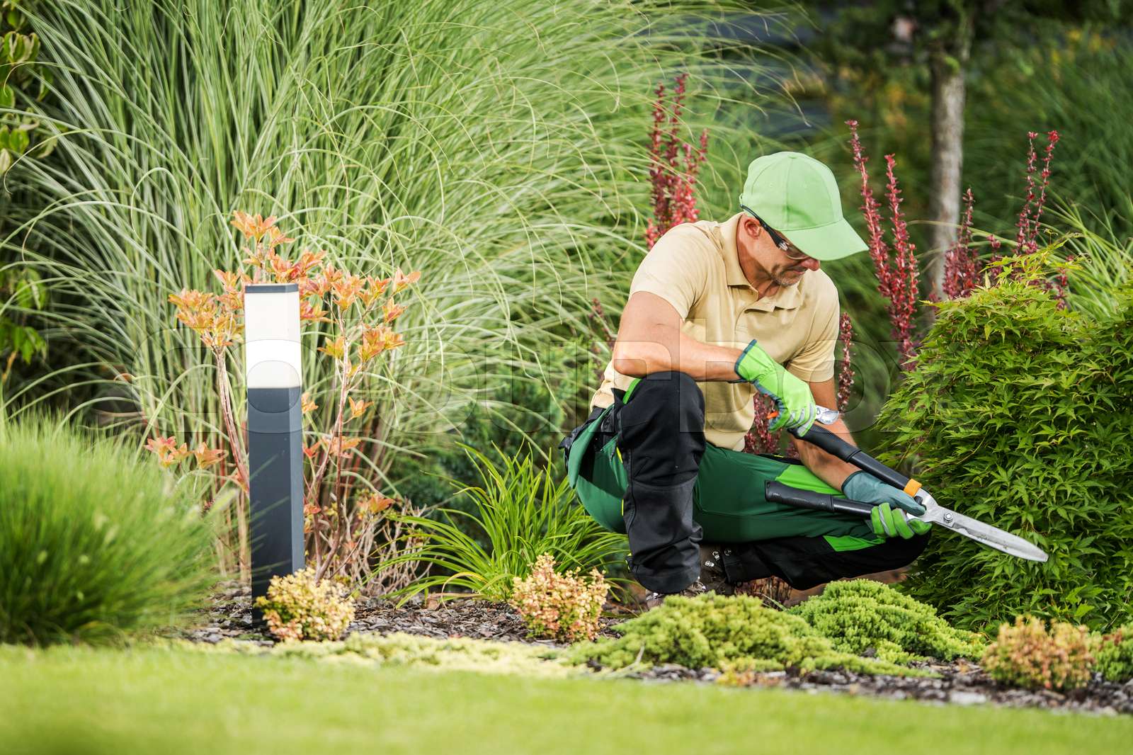 Professional Gardener Inside a Beautiful Mature Garden | Stock image ...