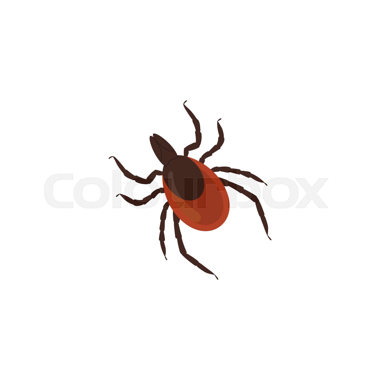 Tick Cartoon Insect