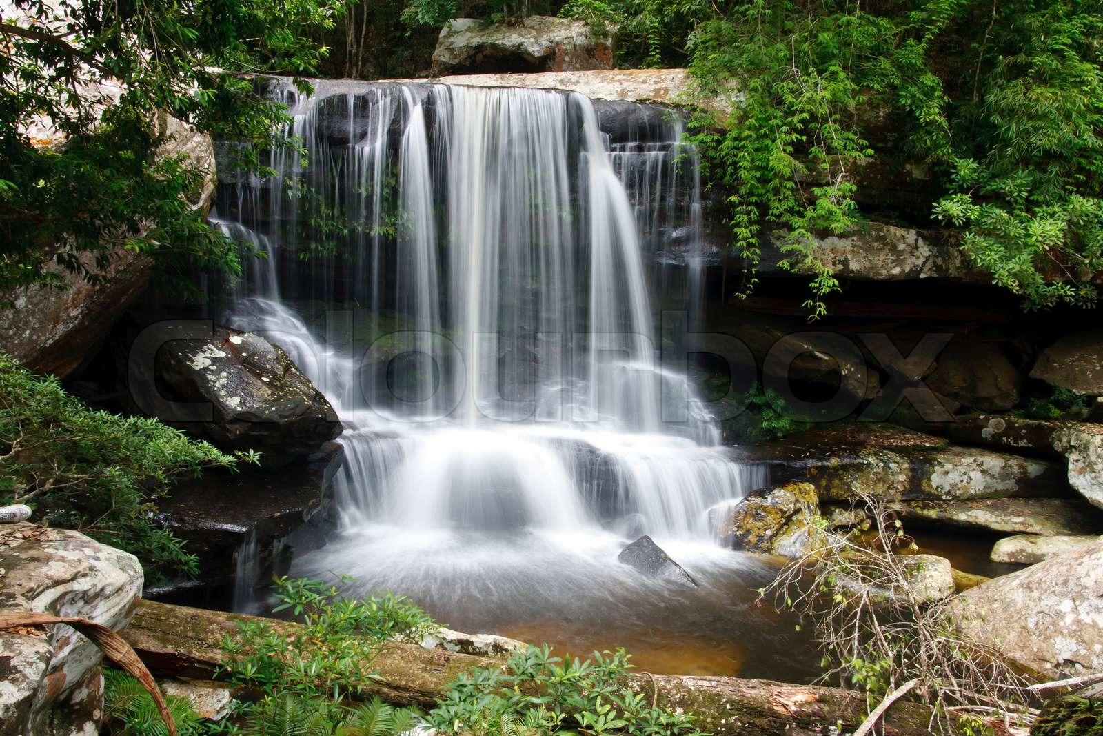 Beautiful rain forest and waterfall | Stock image | Colourbox
