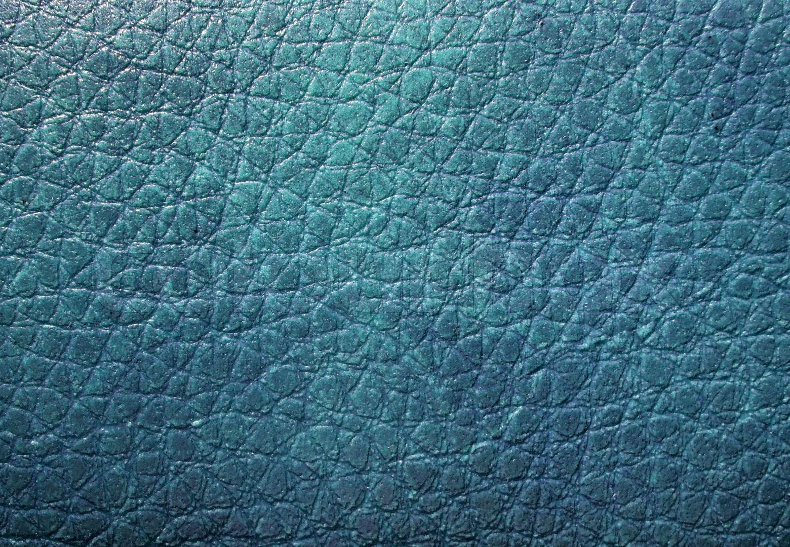 Blue skin texture | Stock image | Colourbox
