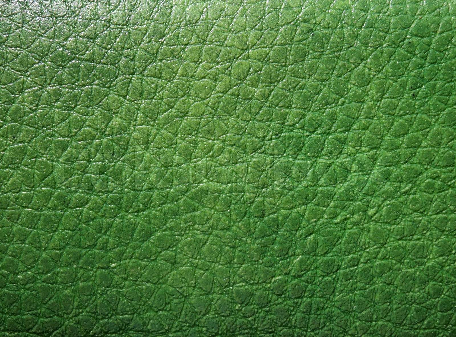 Green skin texture | Stock image | Colourbox