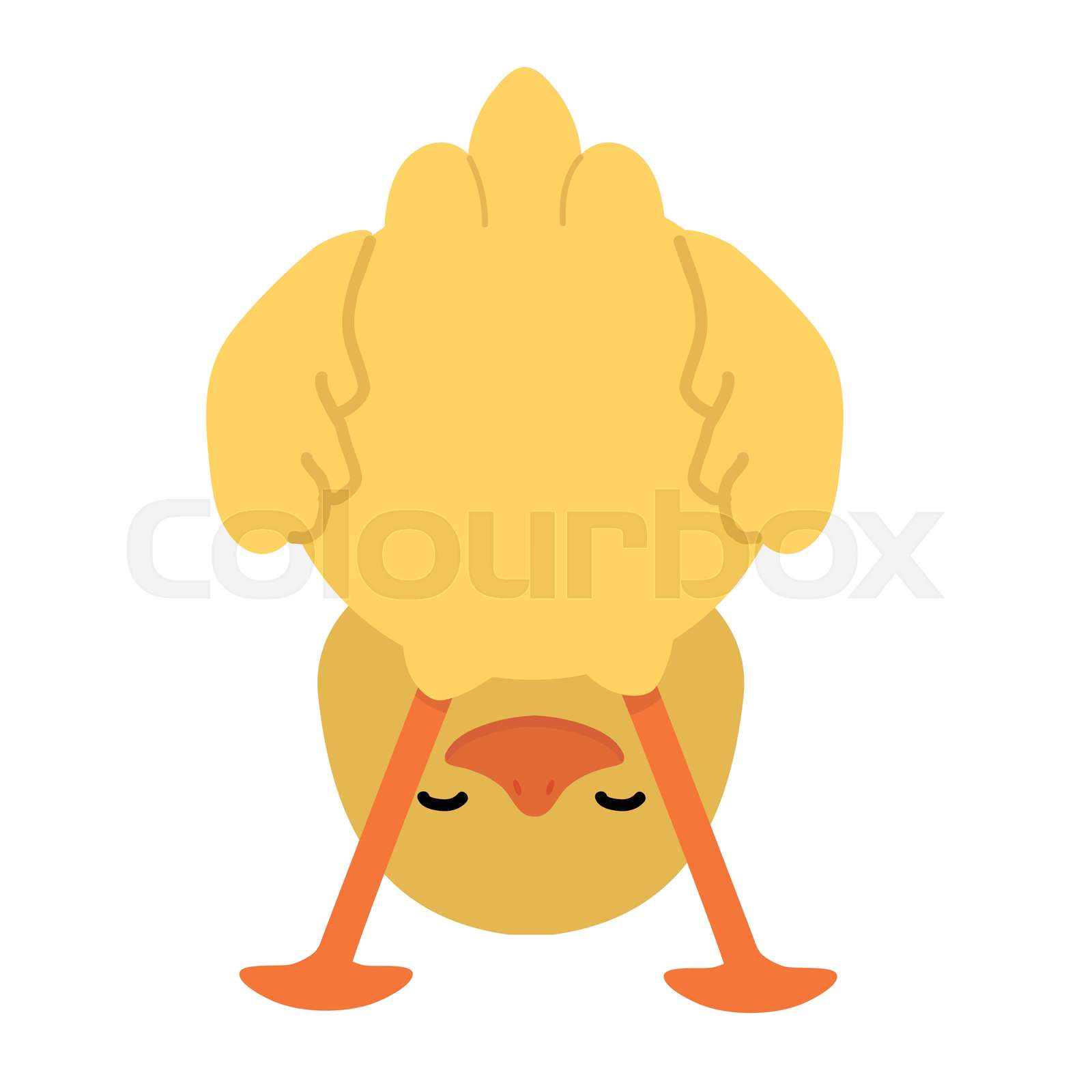 funny Duck back veiw cartoon | Stock vector | Colourbox