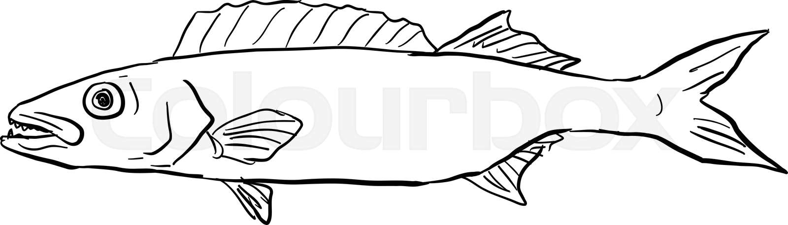 tegning, tegneserie, fisk | Stock vektor | Colourbox