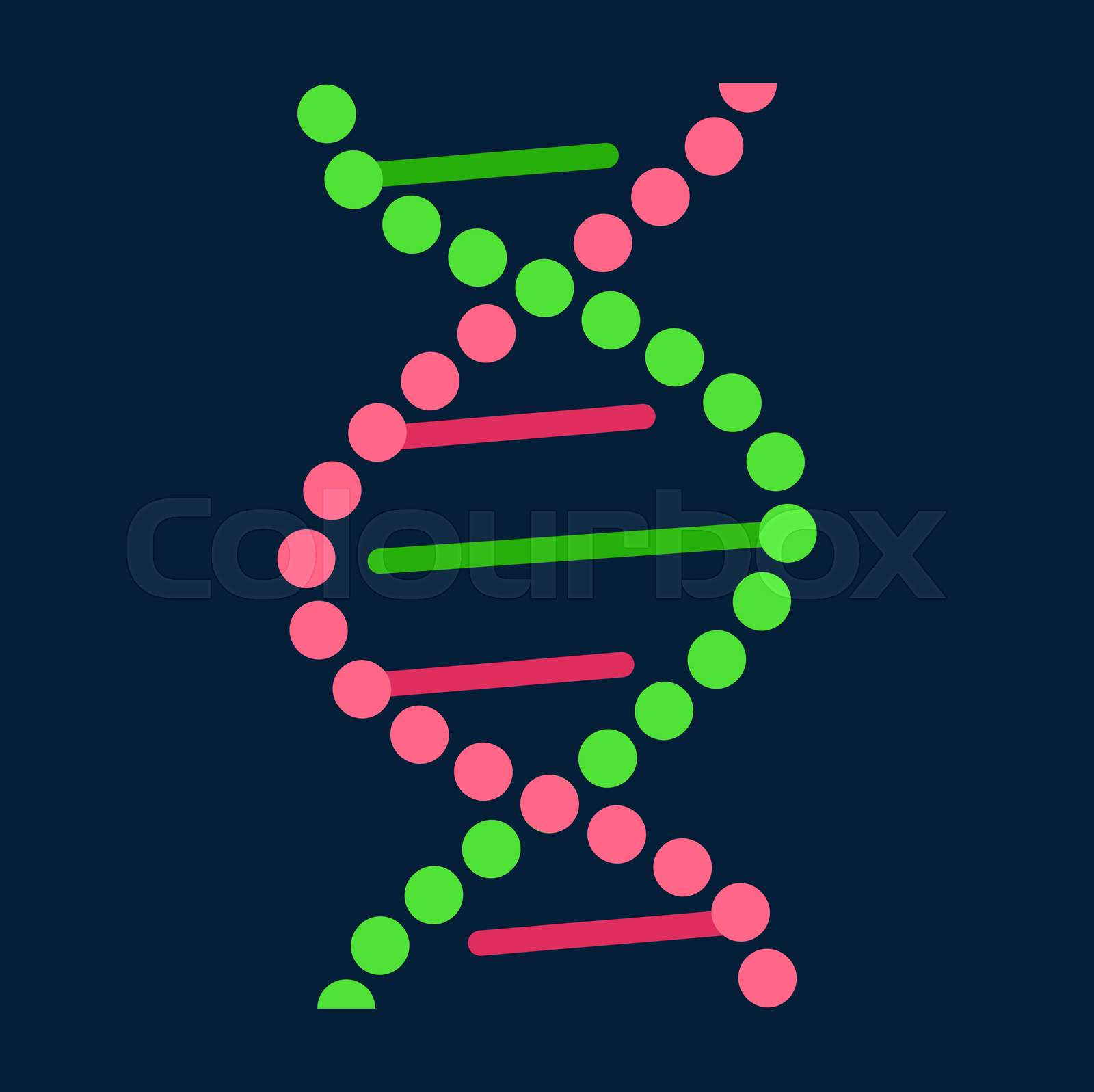 dna, molekyle, helix | Stock vektor | Colourbox